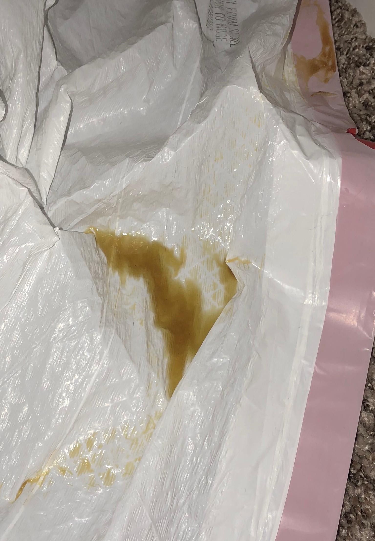 Why is my cat's urine dark yellowish-brown? Is it serious? | Petco