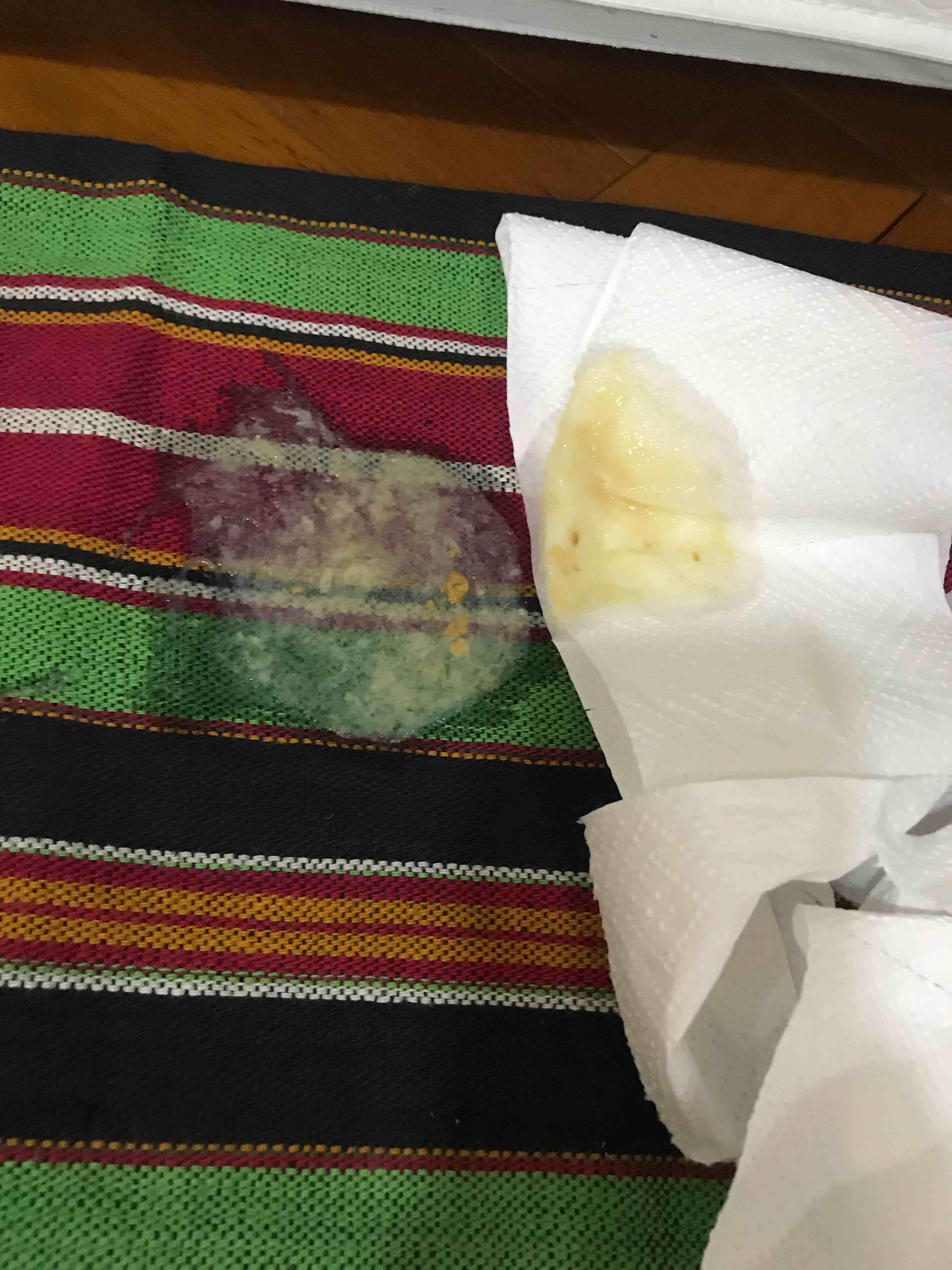 Puppy Vomiting, Fever, Diarrhea with Mucus: Is It Distemper? | Petco