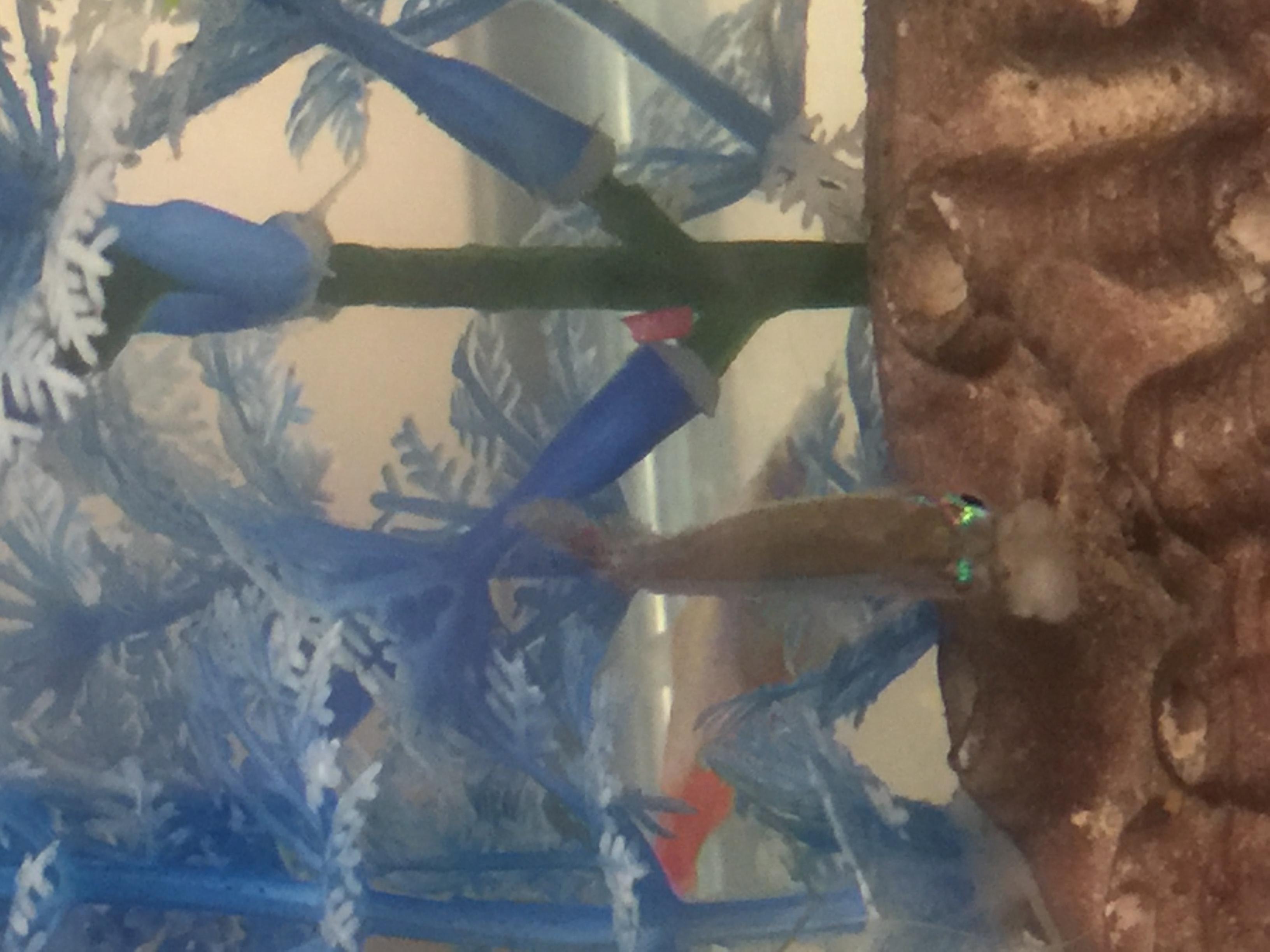 My Fish Has White Growth in Mouth & Can't Eat: Is It Columnaris? | Petco