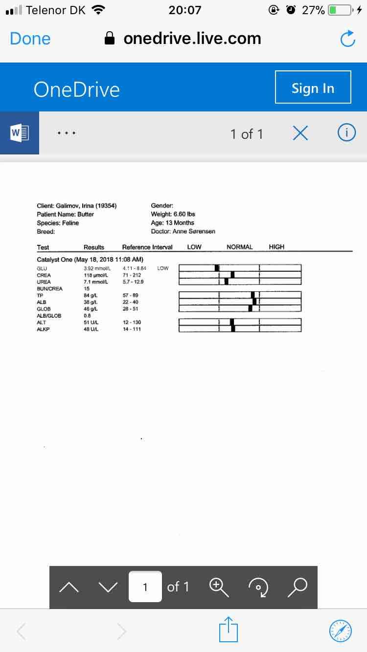 What Do Your Cat's Confusing Abnormal Blood Test Results Mean? | Petco