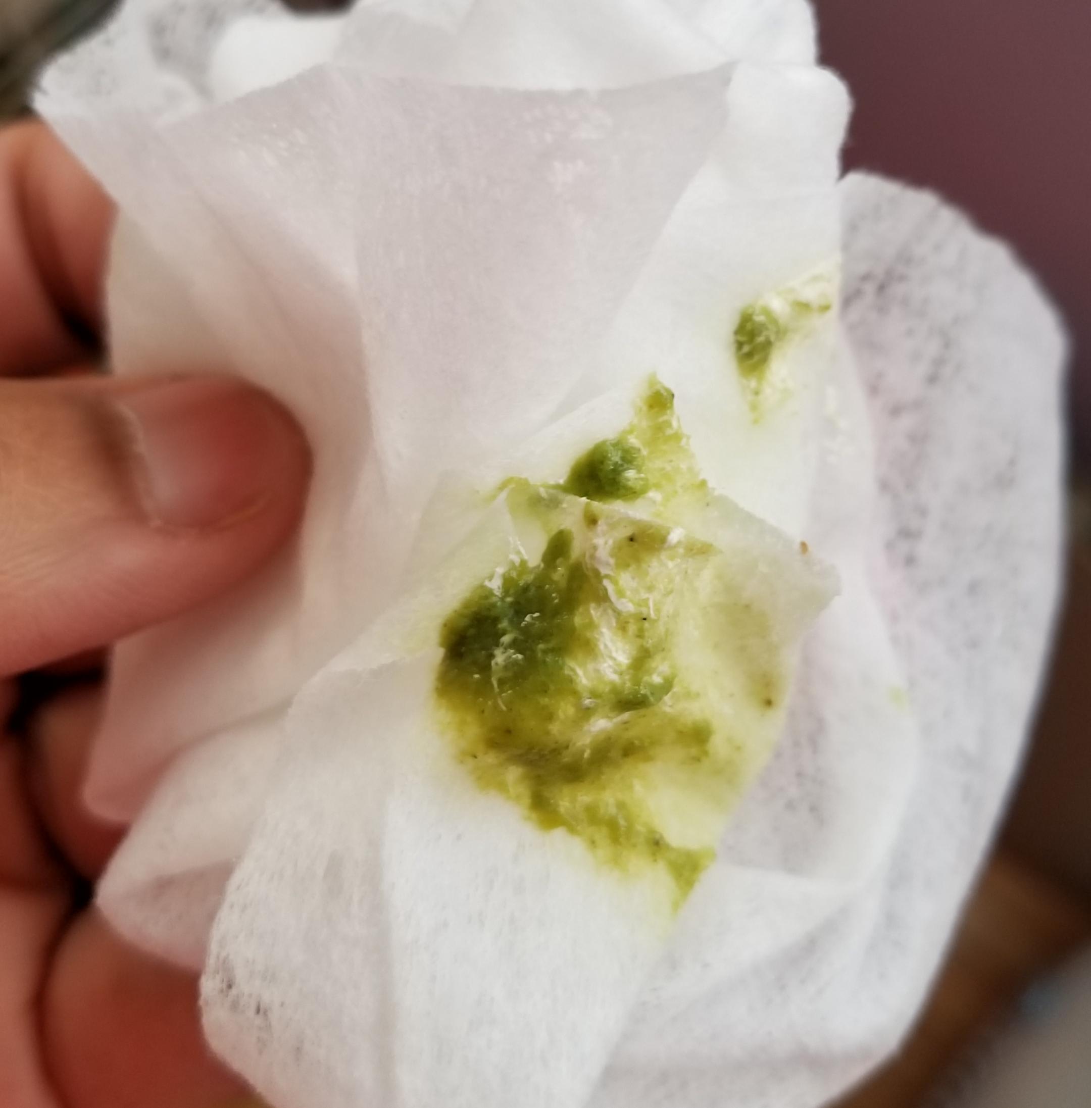 What's healthy green cheek conure poop and what should I do? | Petco