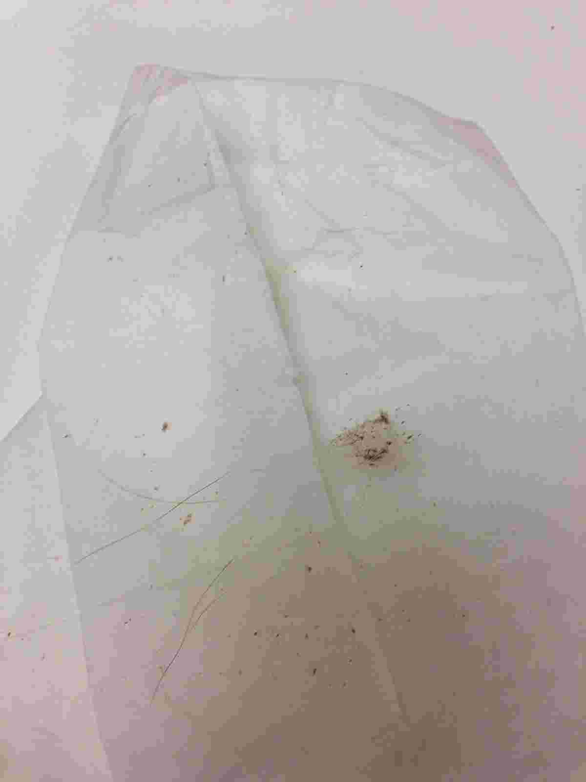 Is Your Dog Scratching a Lot? Fleas? How to Ease Itching | Petco