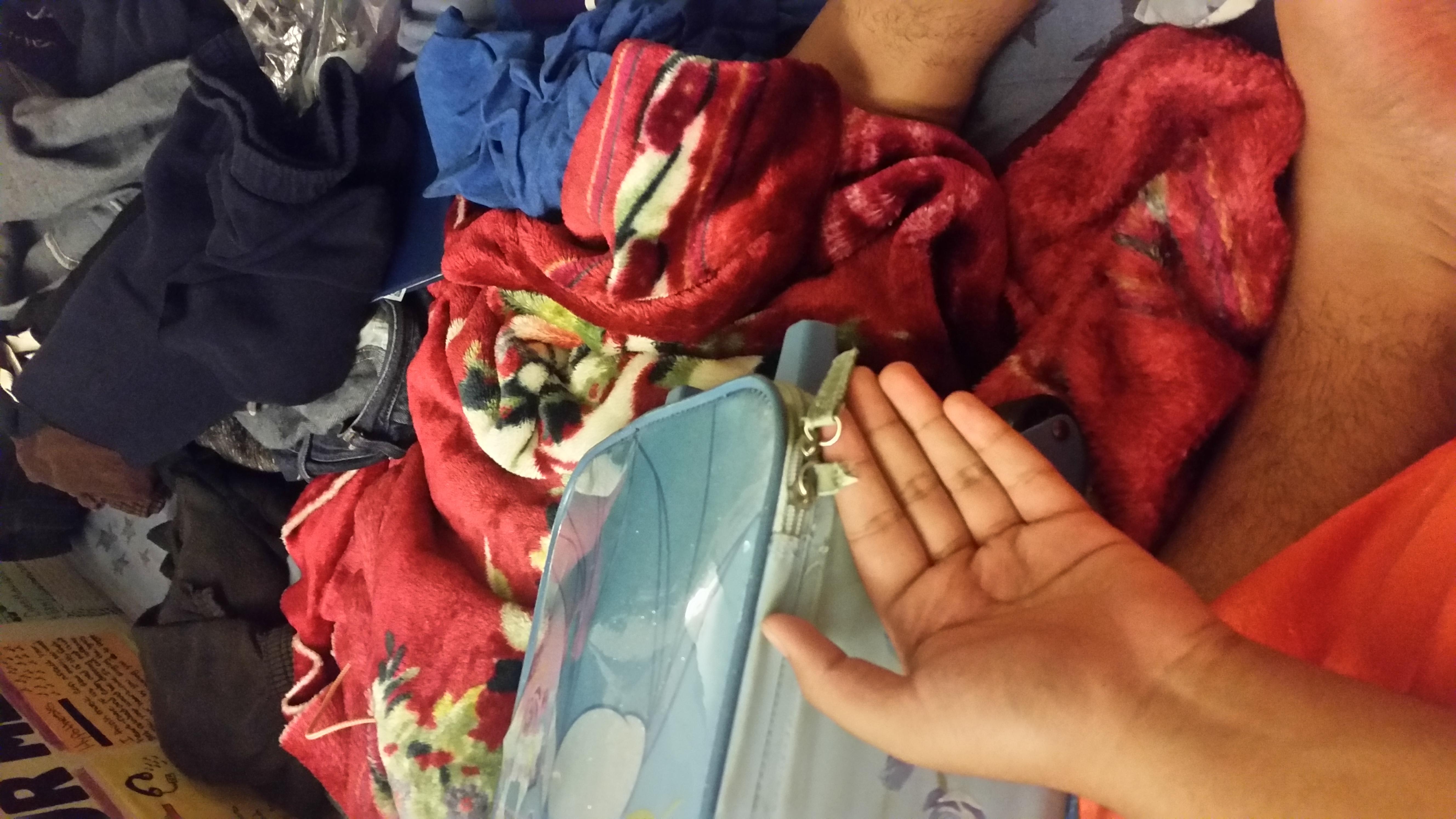 My rabbit ate suitcase fabric. Will he be okay or get blocked? | Petco