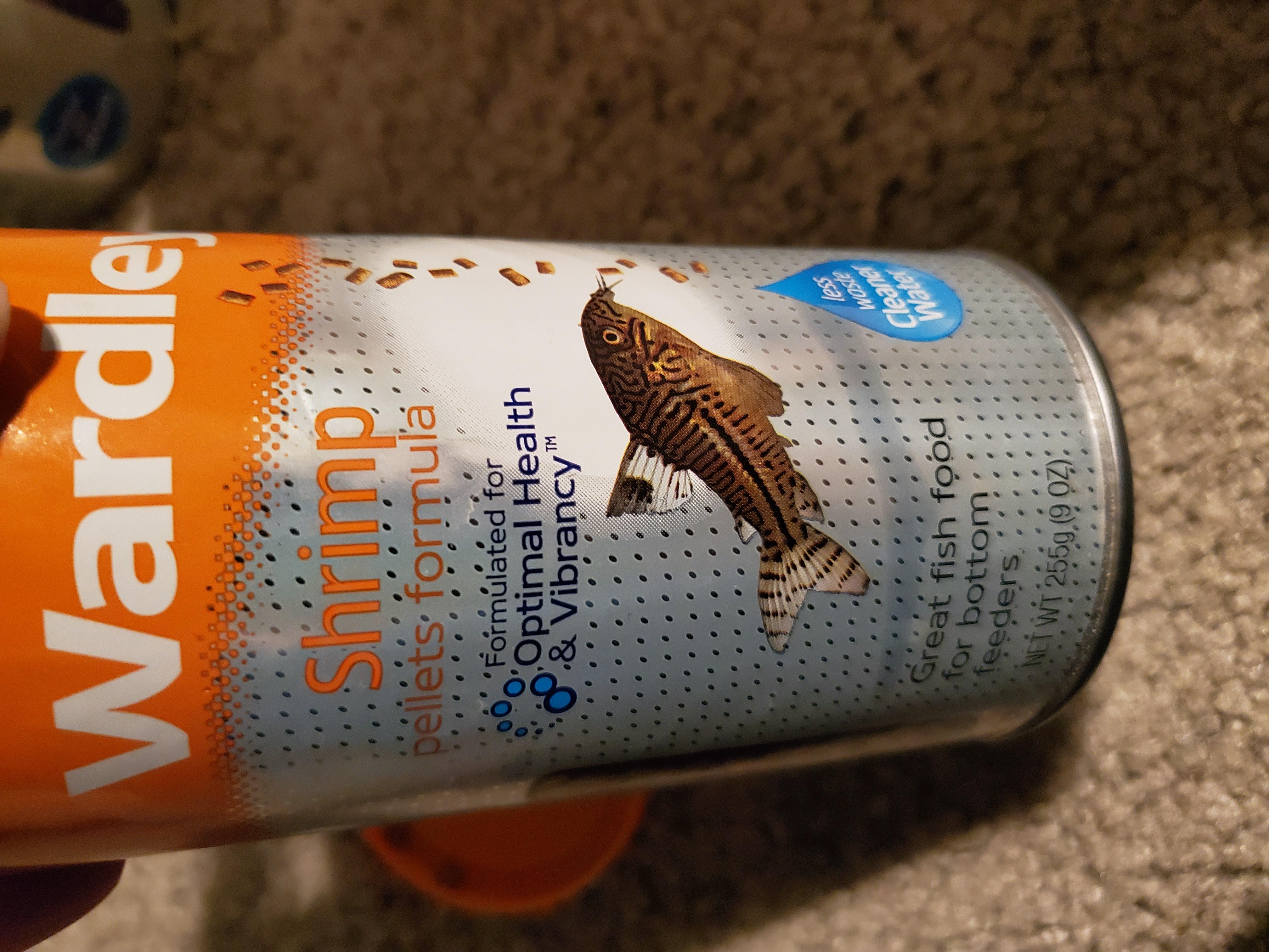 Turtle Threw Up After Shrimp Pellets? Find Safe Food Options | Petco