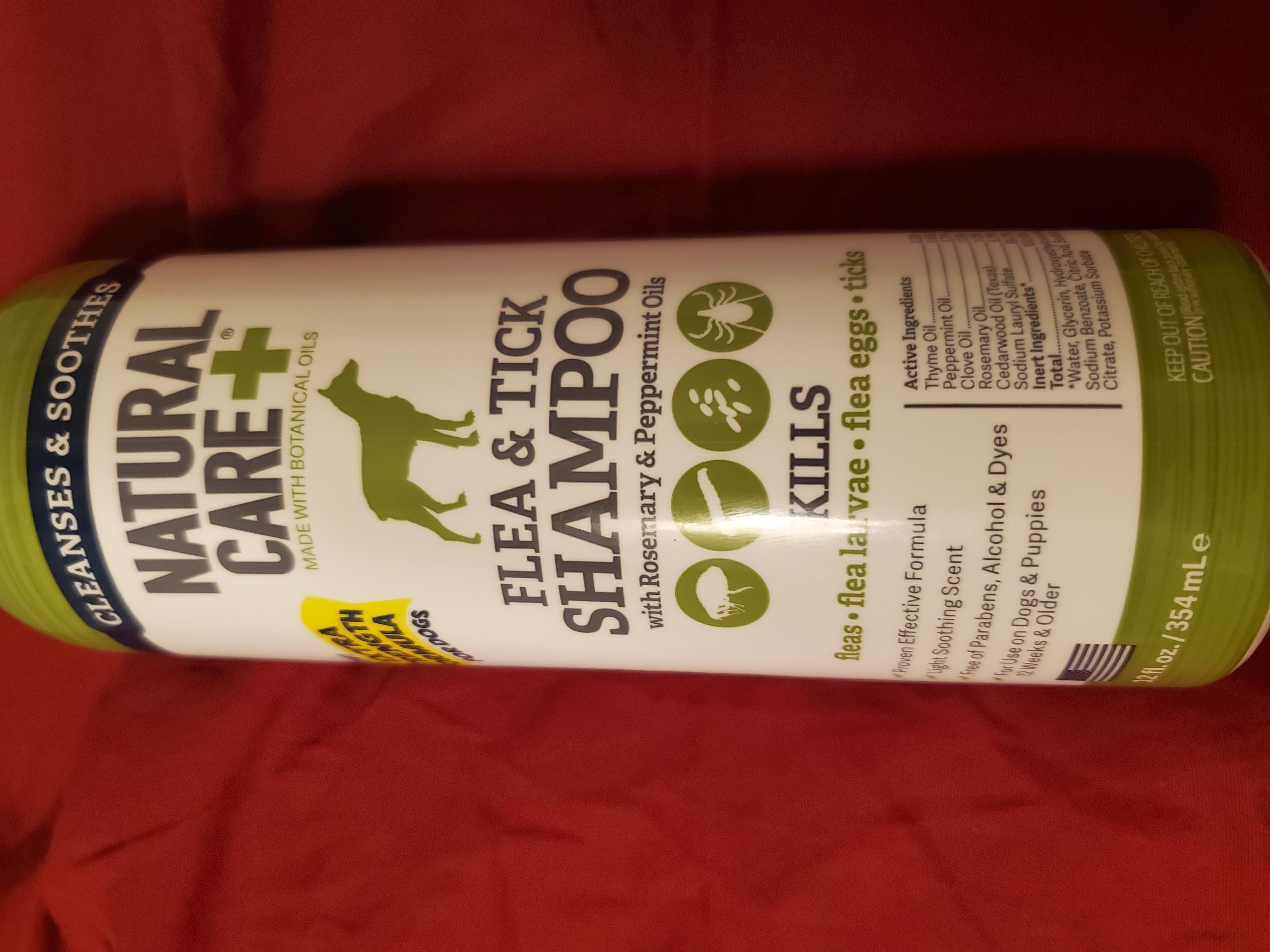 Is diluted dog shampoo safe to spray on my dog before brushing? | Petco