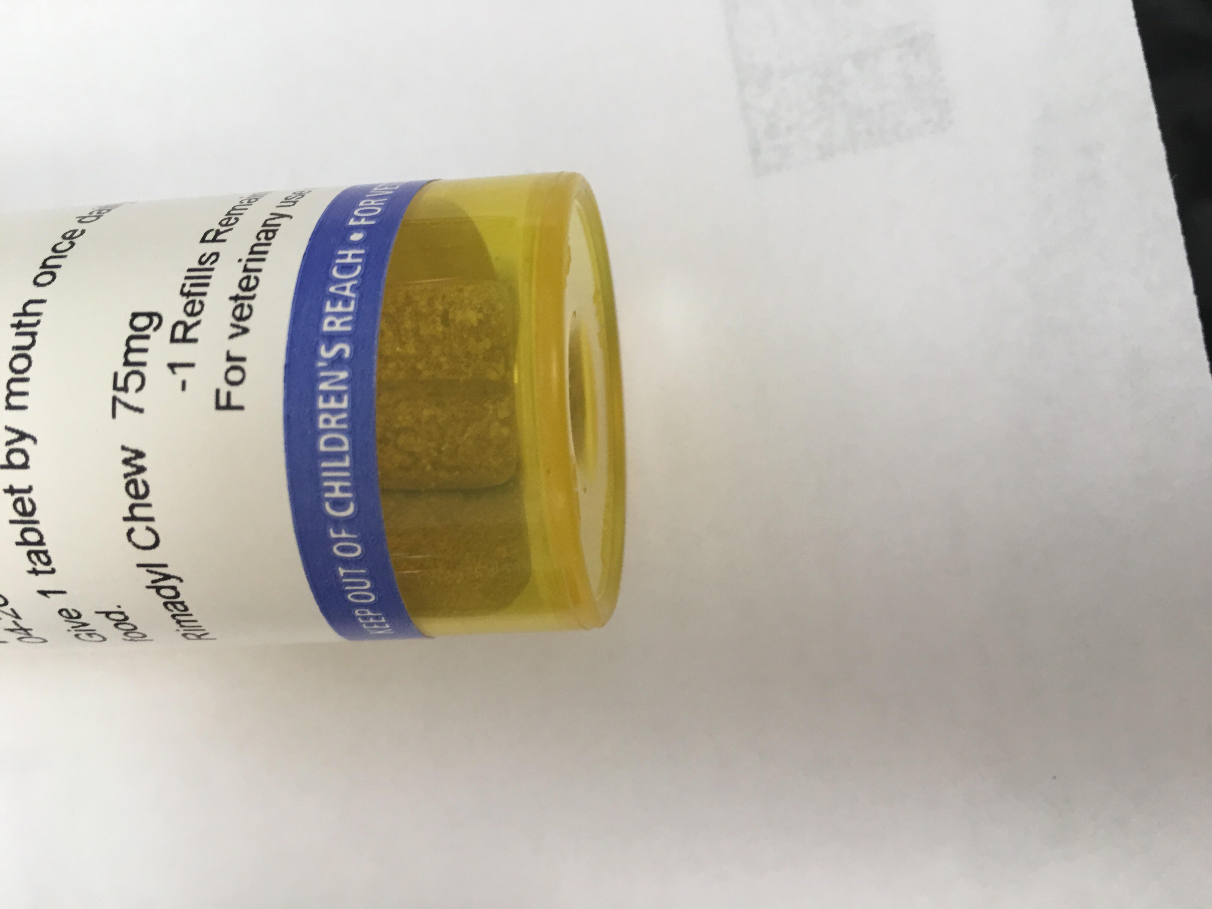 Can my Shiba Inu take Trazodone, Apoquel, Rimadyl for pain? | Petco