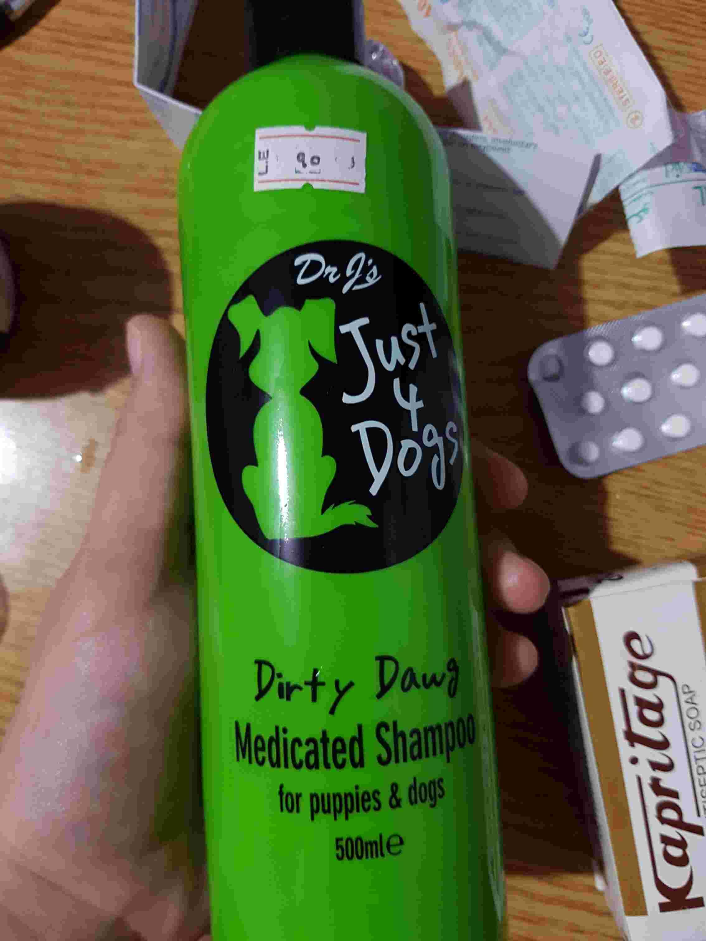 My Dog Has Demodex: Sun Exposure & How to Help Him Heal Faster | Petco