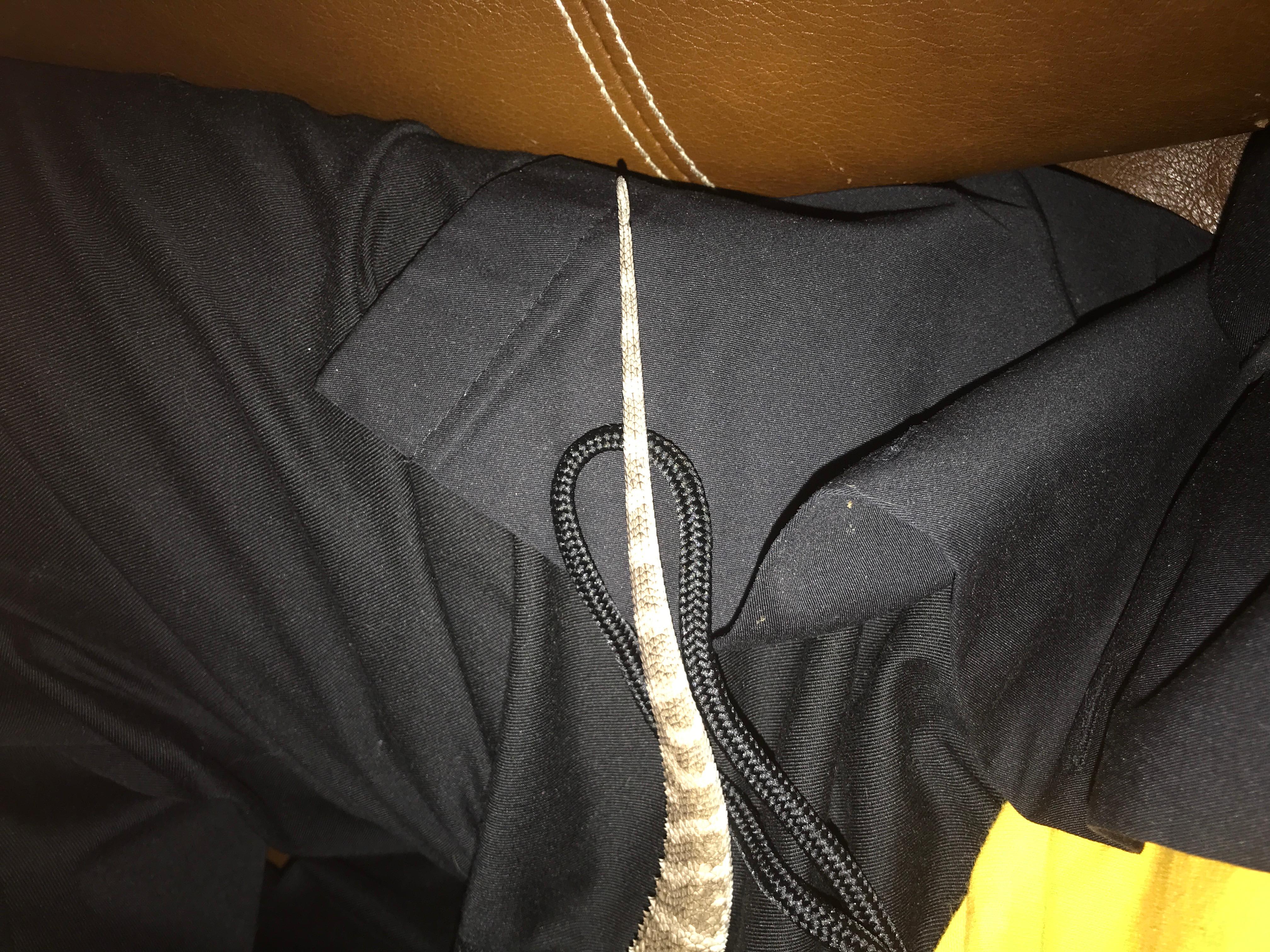 My Lizard's Tail Is Dark: Is It Tail Rot & What To Do? | Petco