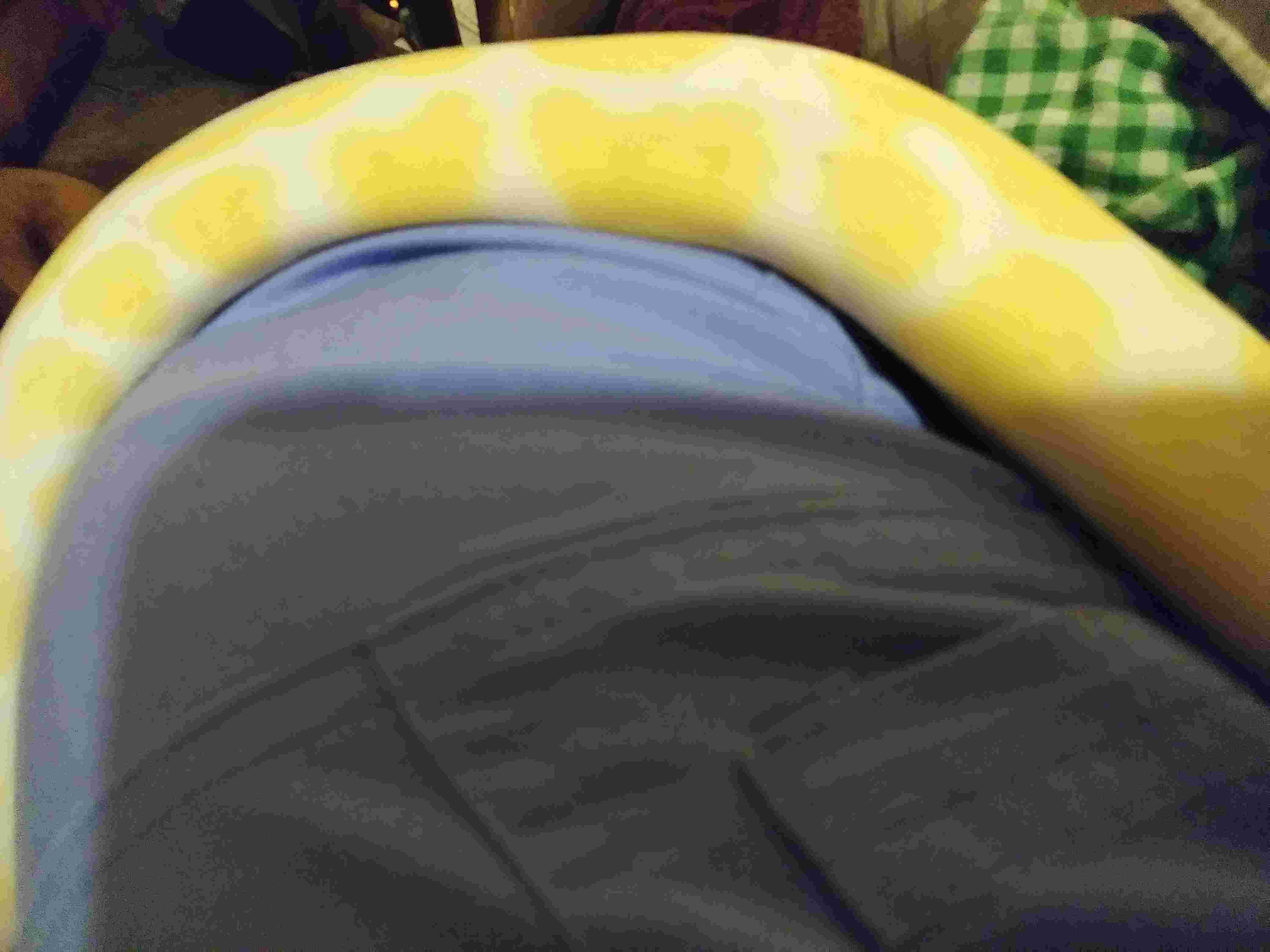 Python Scraped Back on Log: Is It Healing Too Slowly? | Petco