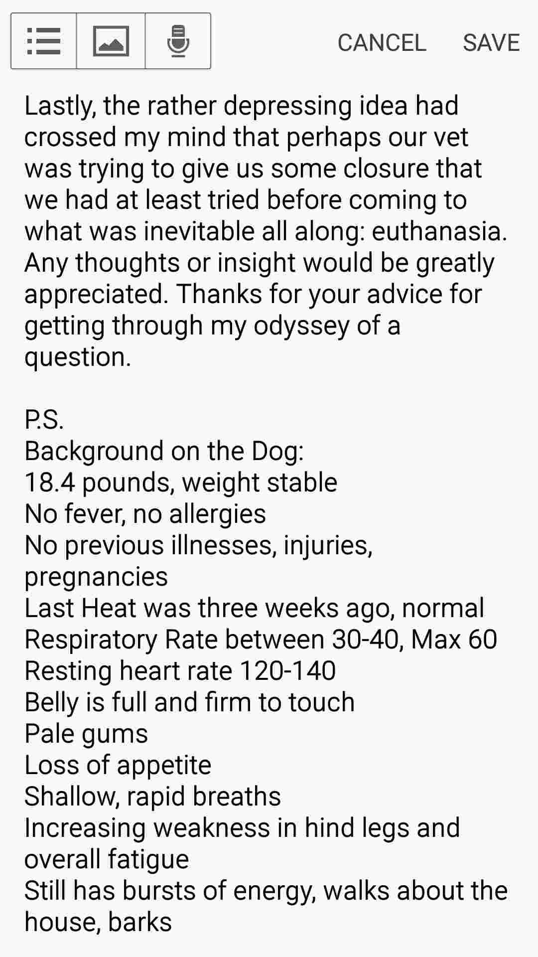 Is your dog's Baytril or Clavamox dose effective for pyometra? | Petco