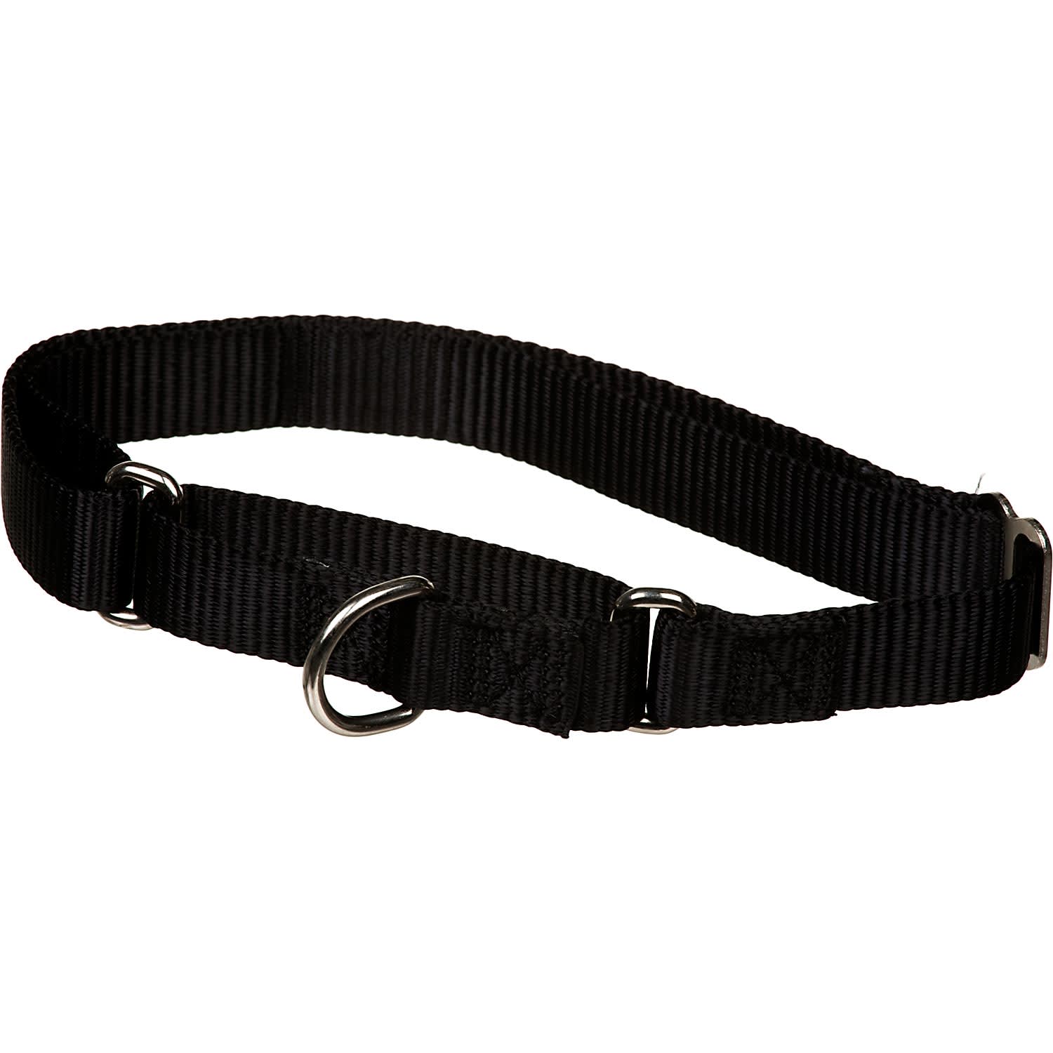 X-tra Control Collar Black Large 19"-30" 1" width | Petco