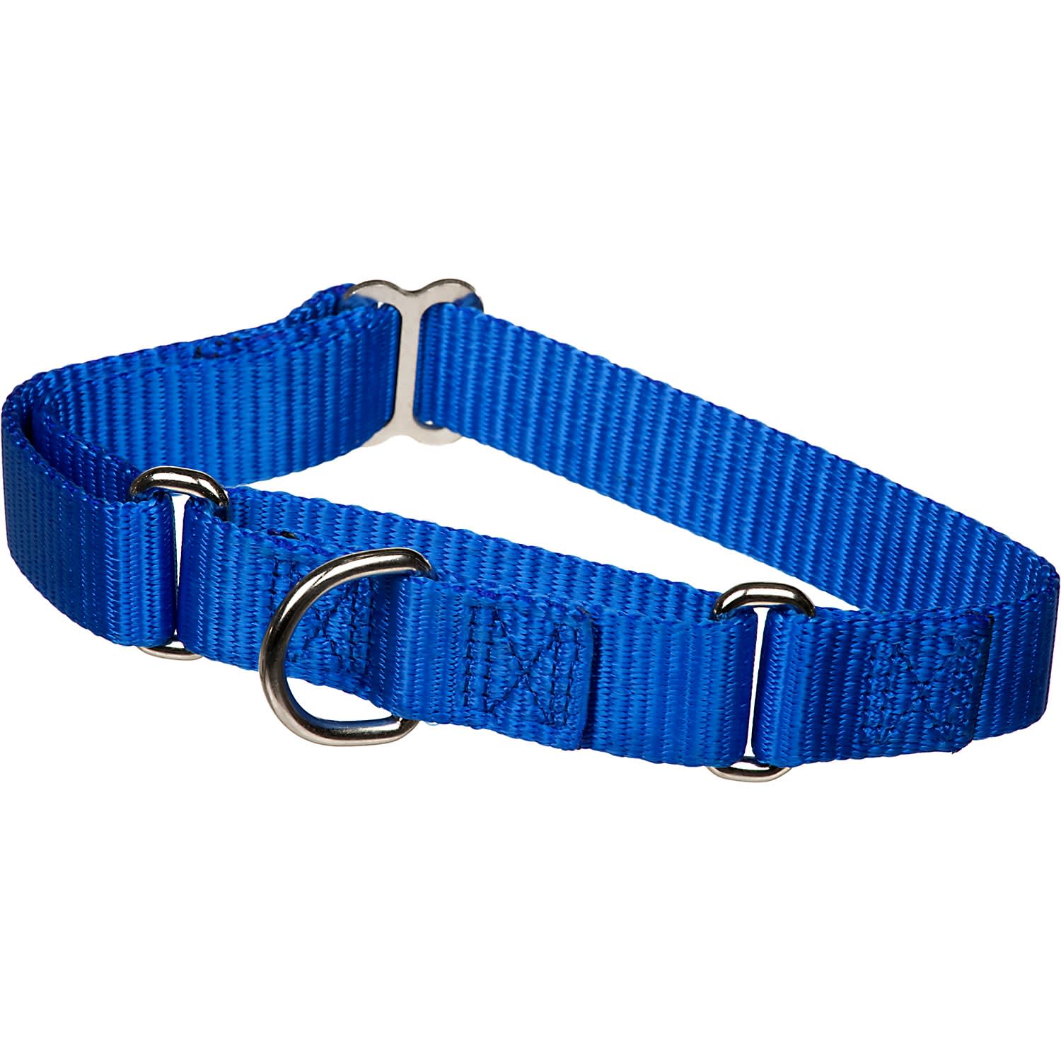 X-tra Control Collar Blue Small 12"-18" 1" width | Petco