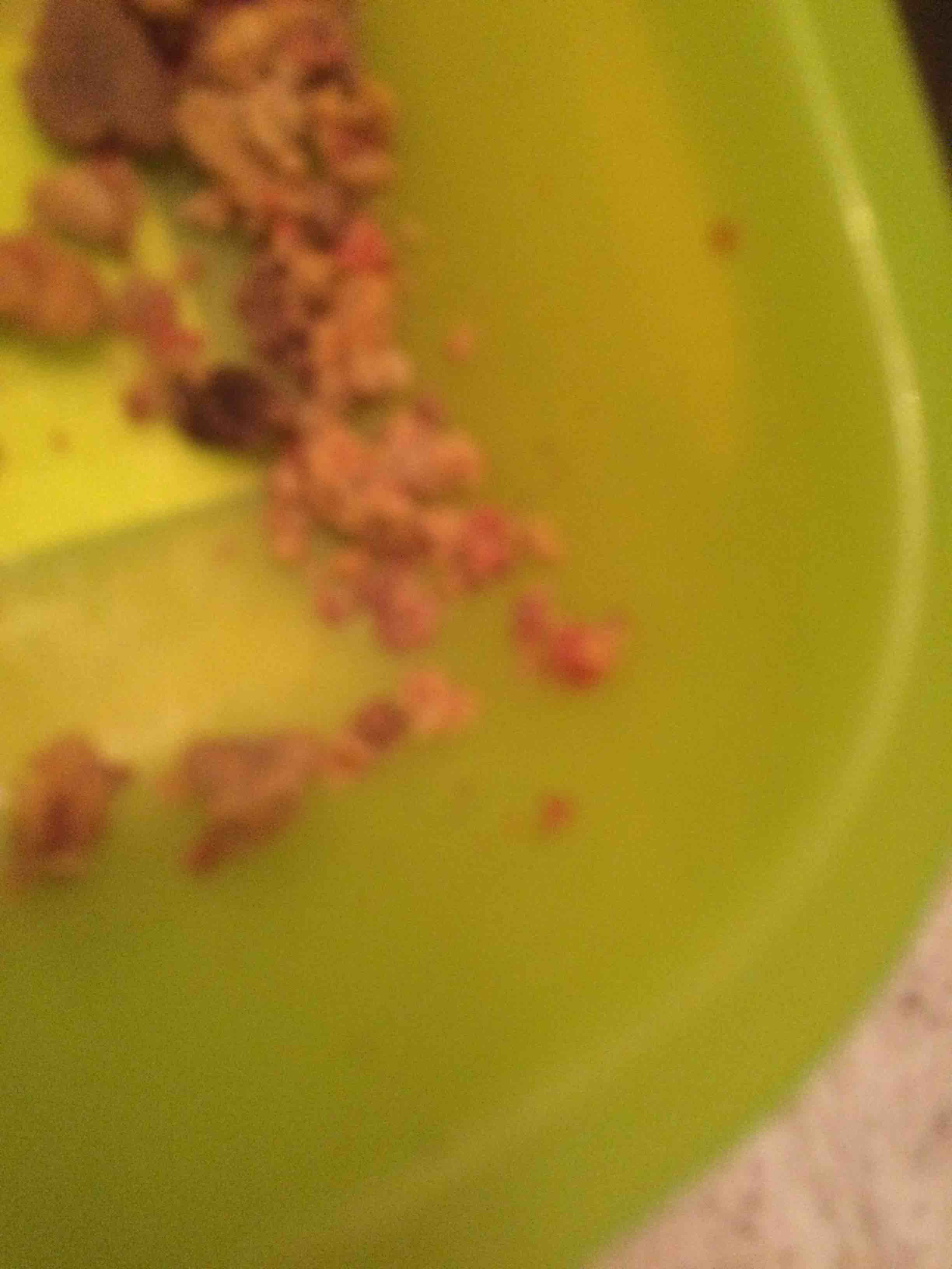 My Dog Has Bad Teeth: Can I Feed Ground Kibble with Water? | Petco