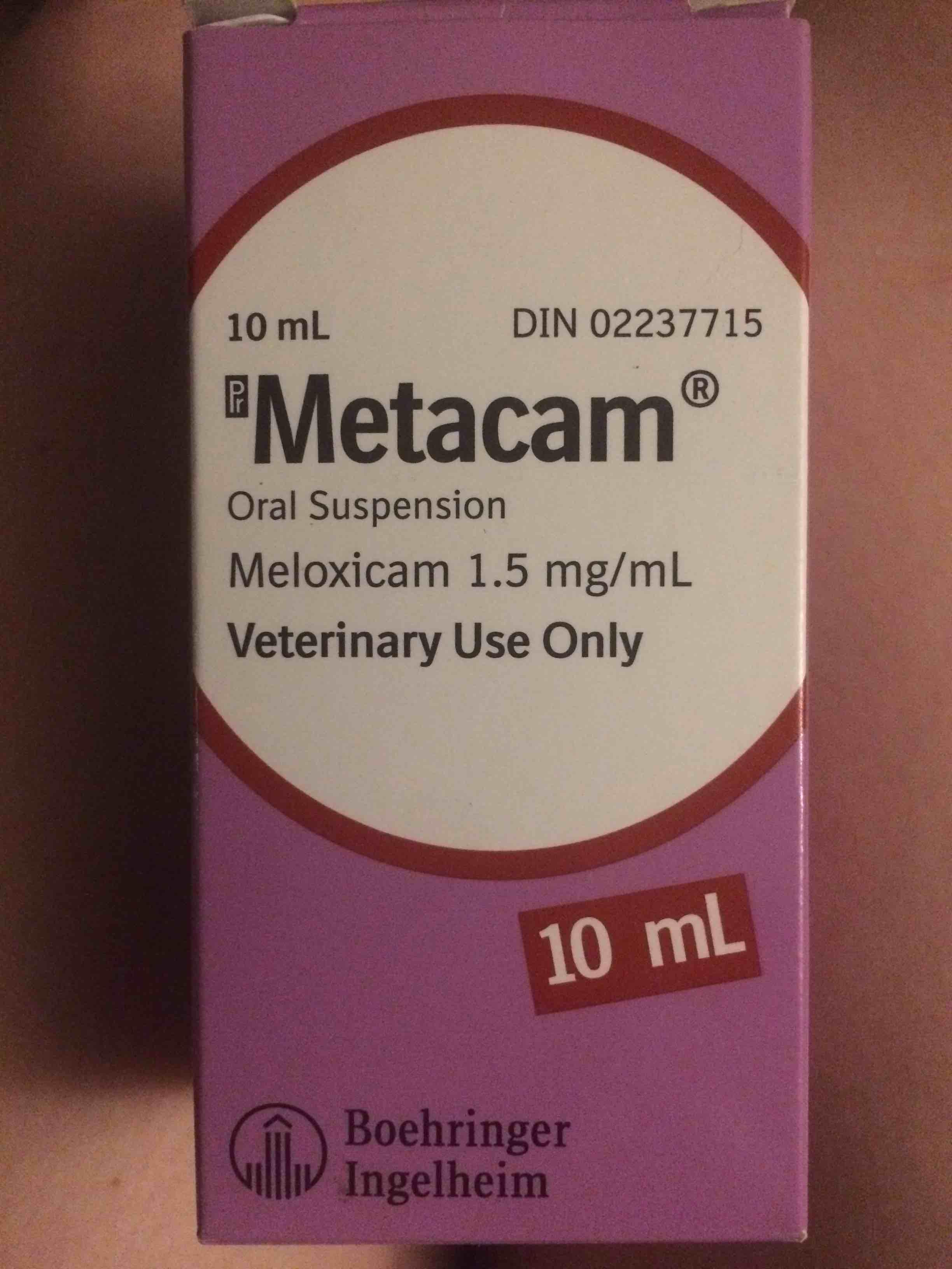 Can I Give My Cat Dog Metacam? Is It Safe & How to Adjust Dose? | Petco