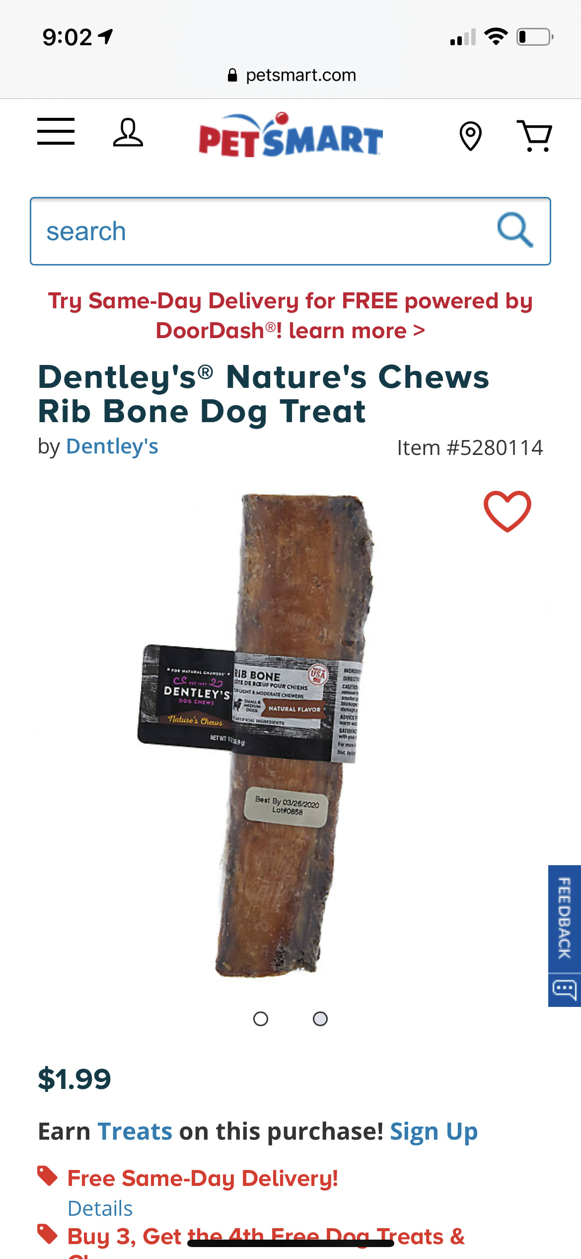 Dog Swallowed Splintered Rib Bone? What to Do If He's Normal | Petco