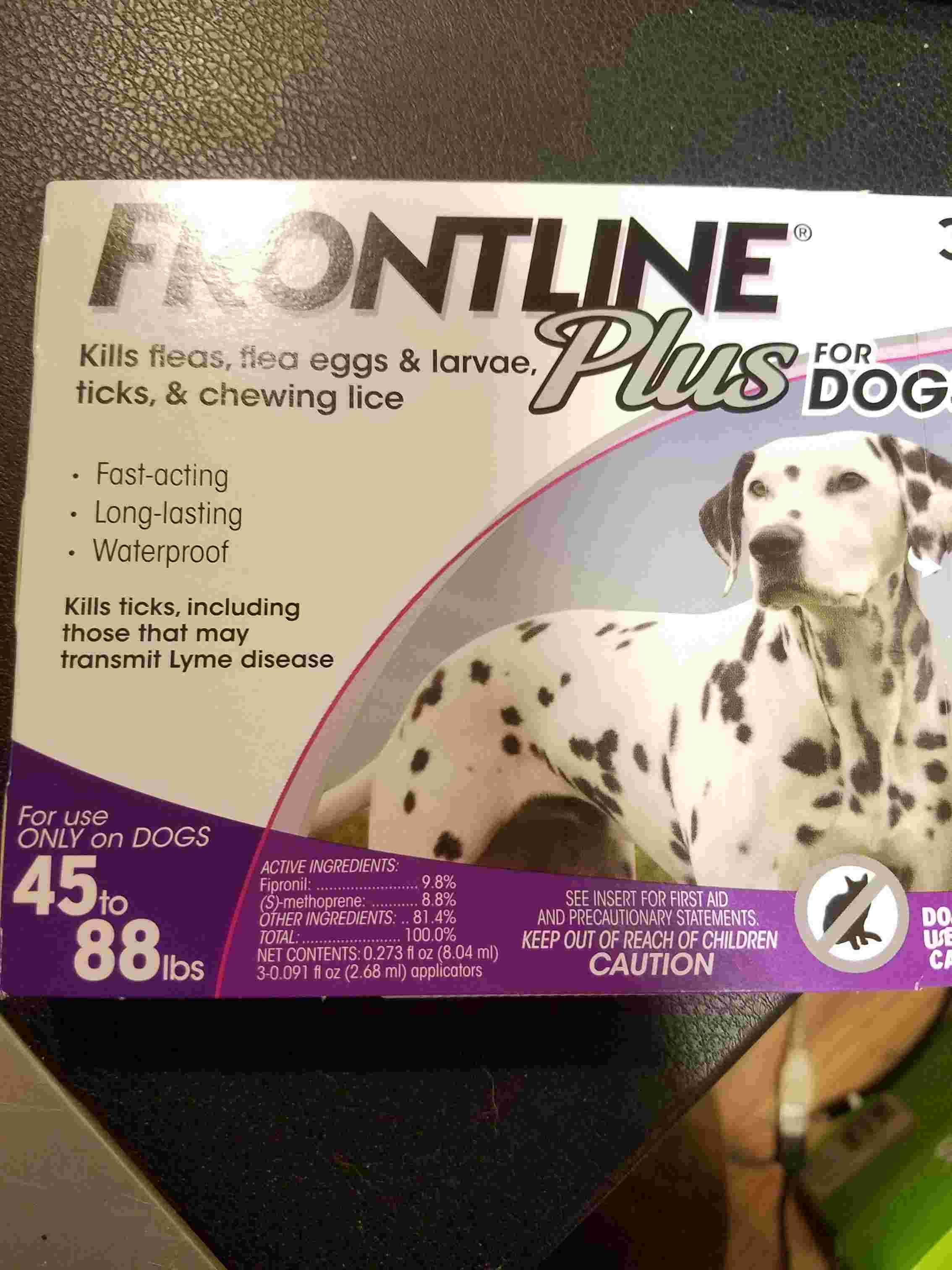 Frontline Plus Not Lasting? Can I Use Capstar for Dog Fleas? | Petco