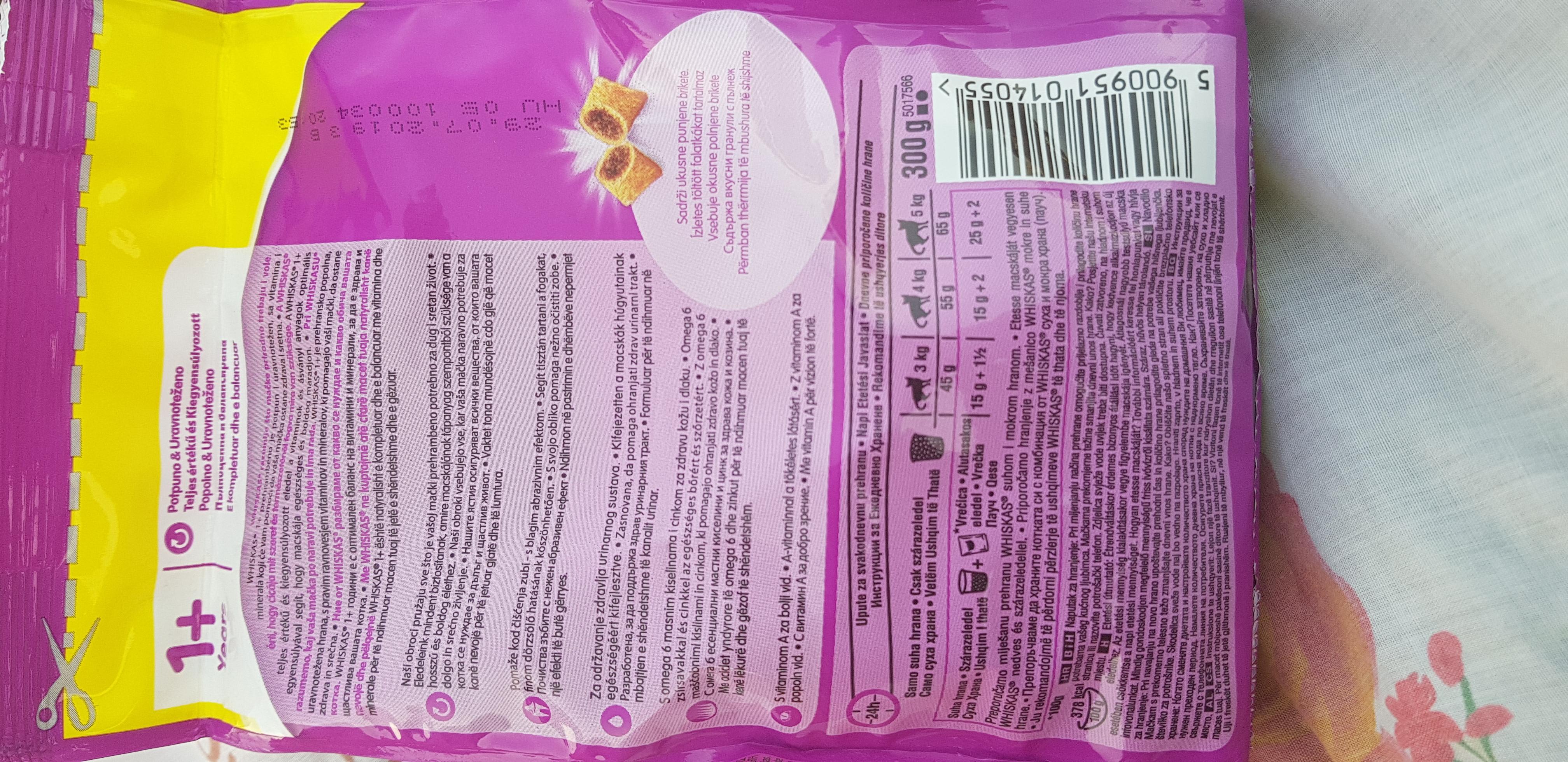 My cat has persistent runny, smelly poop. Is his food the cause? | Petco