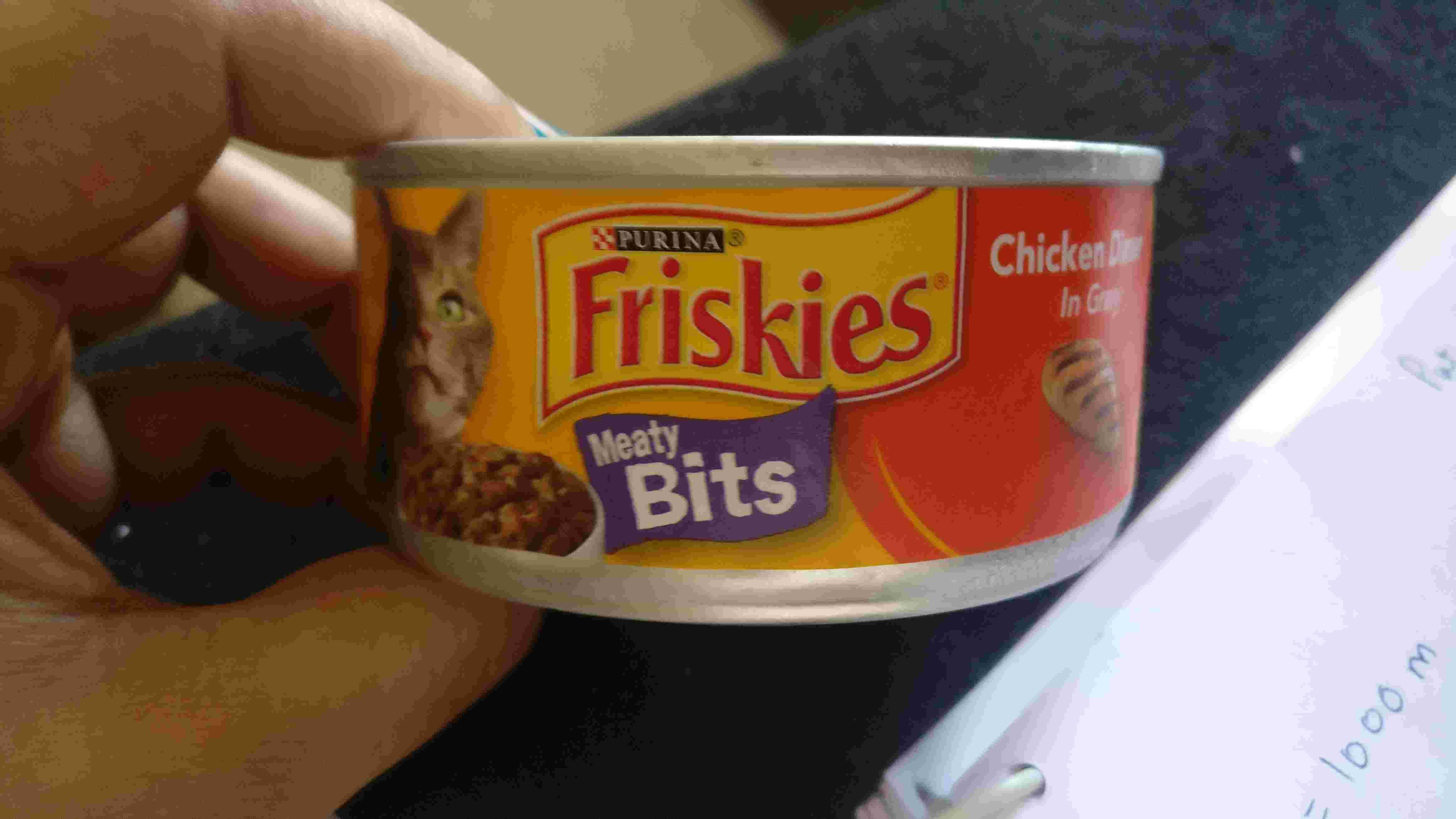 Is my 1-year-old Ragdoll cat eating too much wet and dry food? | Petco