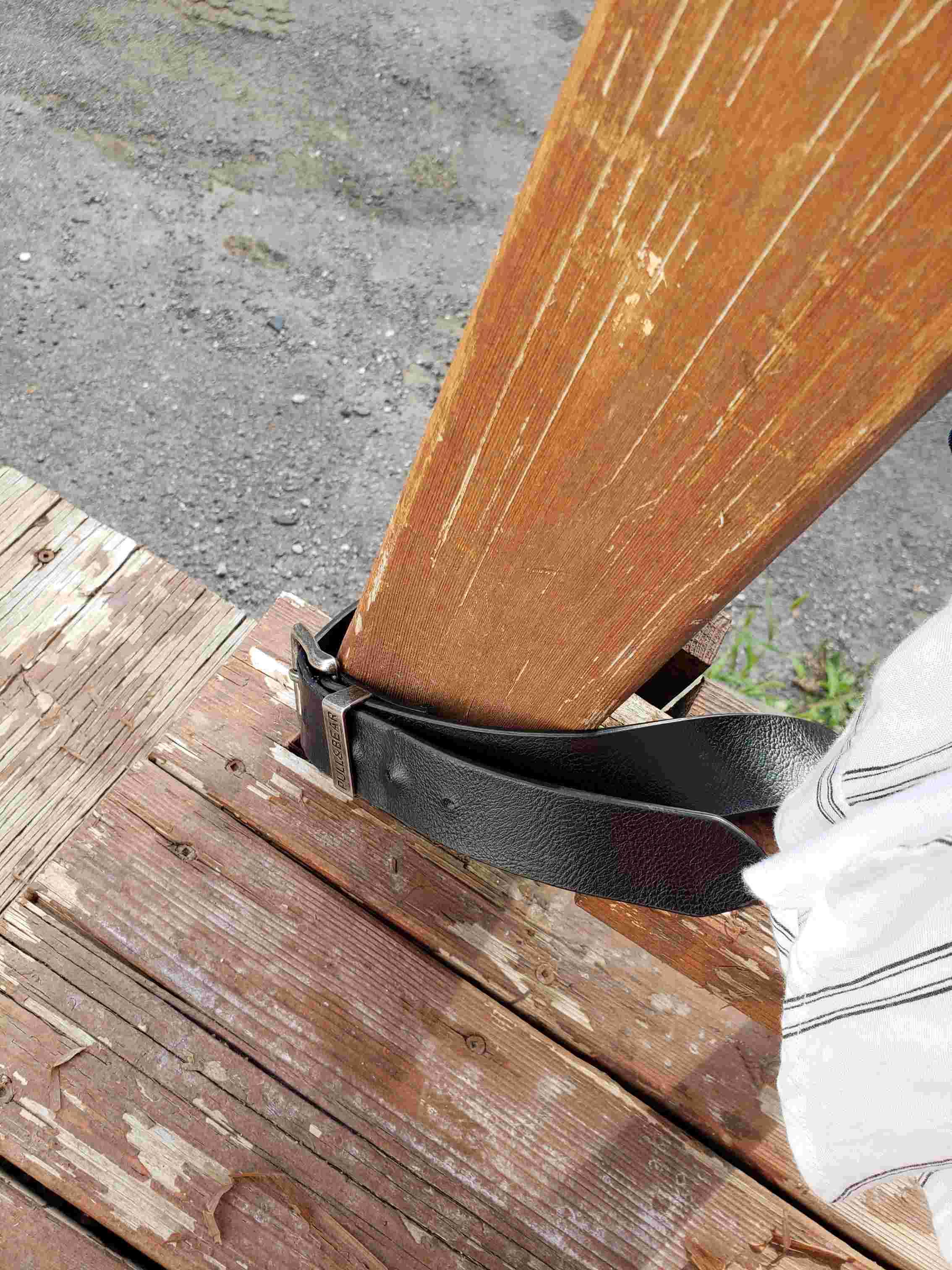 Is leashing my cat on the patio a safe way for her to be outdoors? | Petco