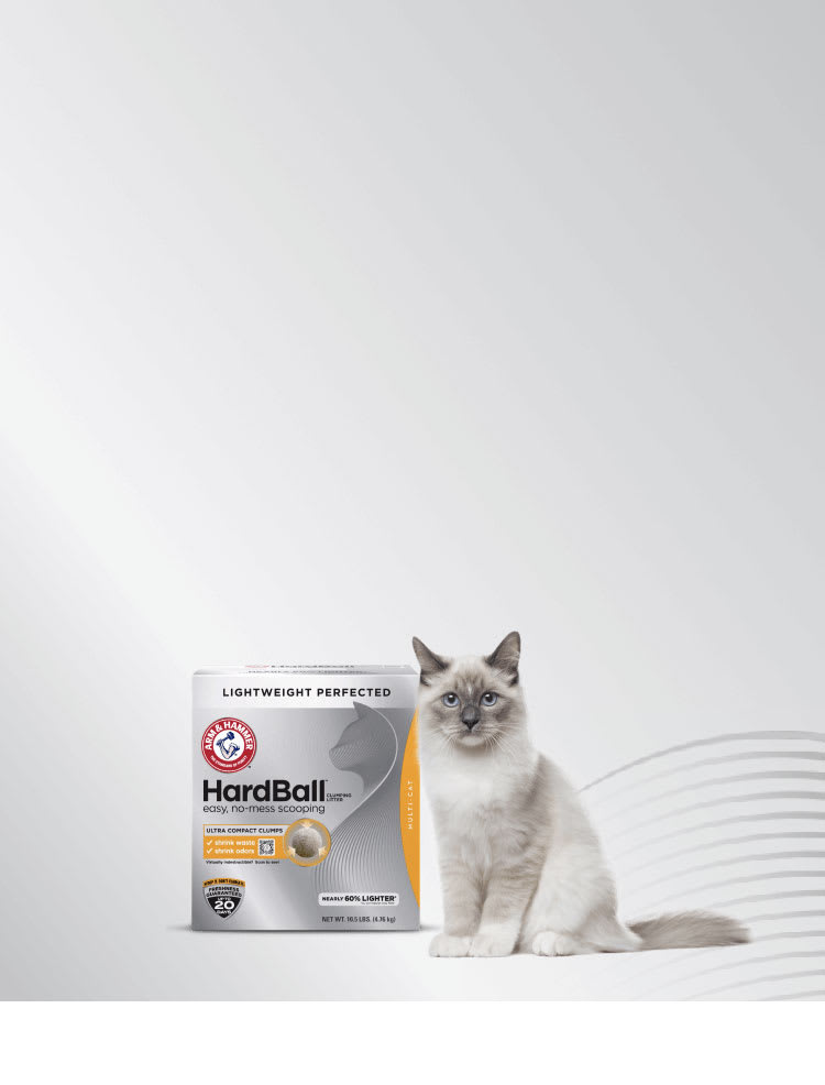HardBall | Petco