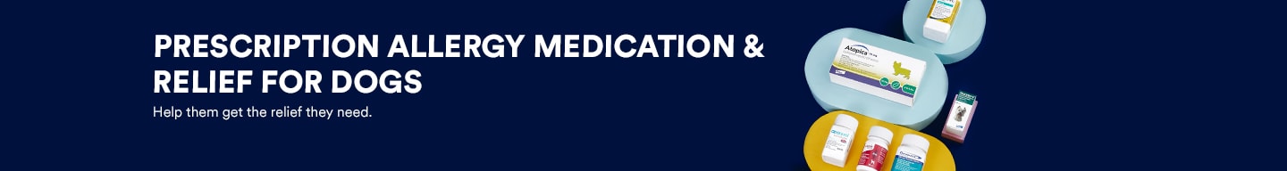 Prescription Allergy Medicine for Dogs | Petco