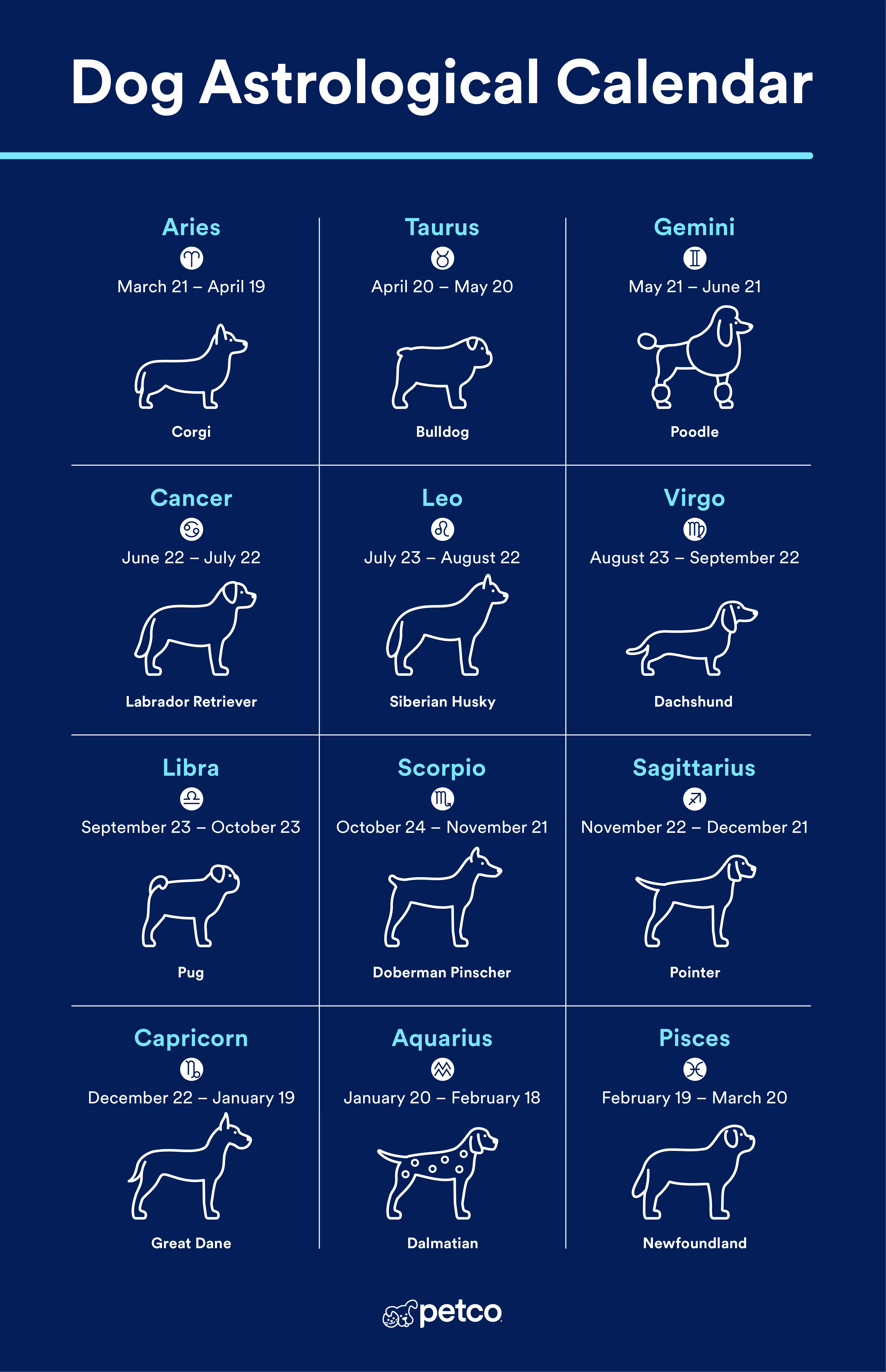 Dog Astrology: What’s My Dog’s Star Sign? | Petco