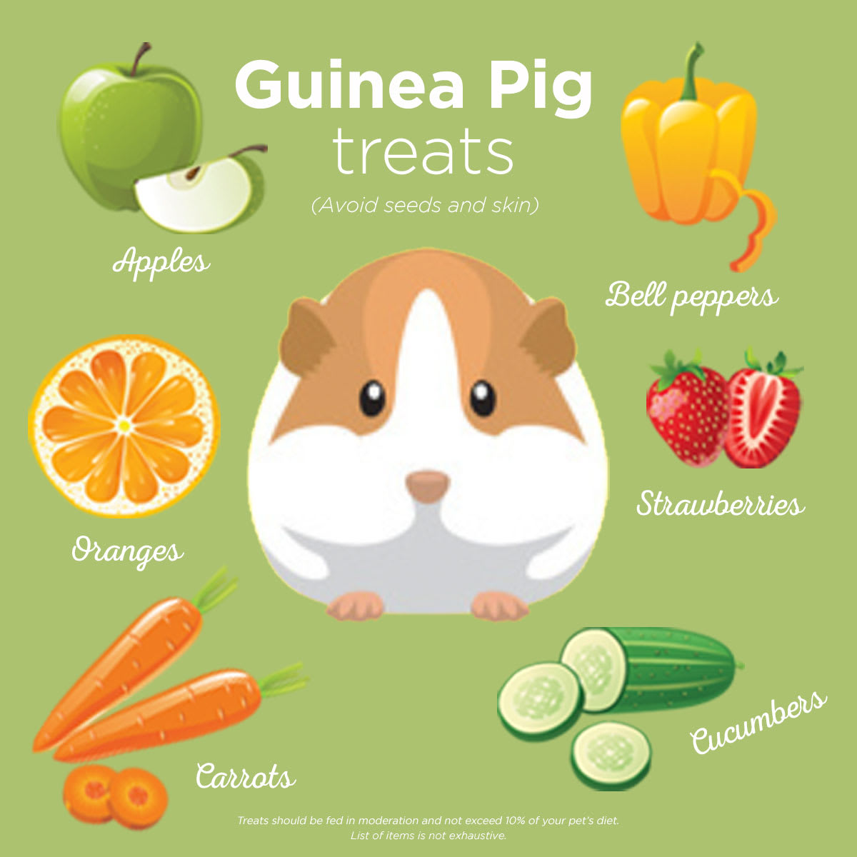 What Kind Of Veggies Do 2025 Guinea Pigs Eat
