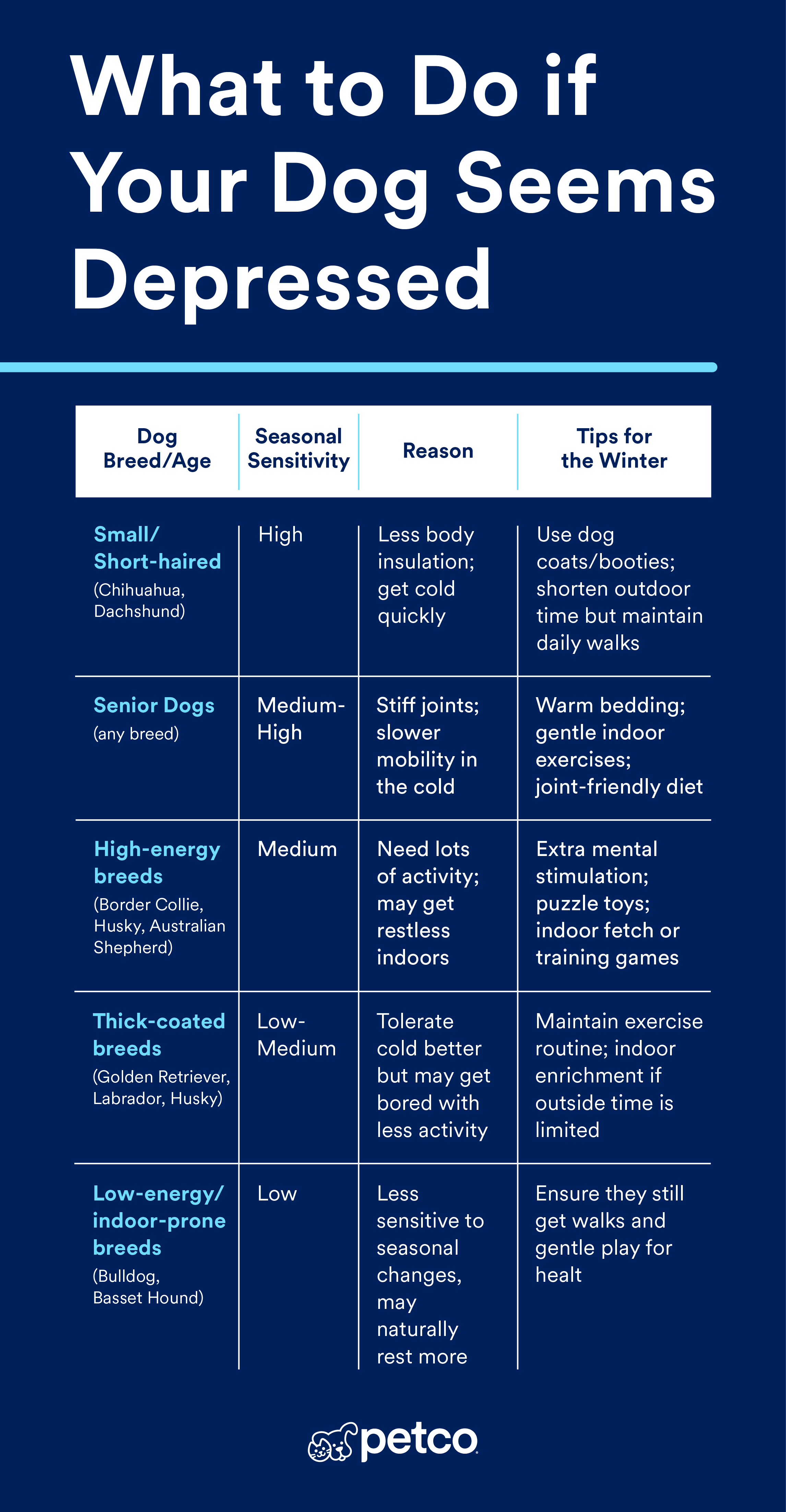 Can Dogs Get Depressed? SAD in Dogs | Petco