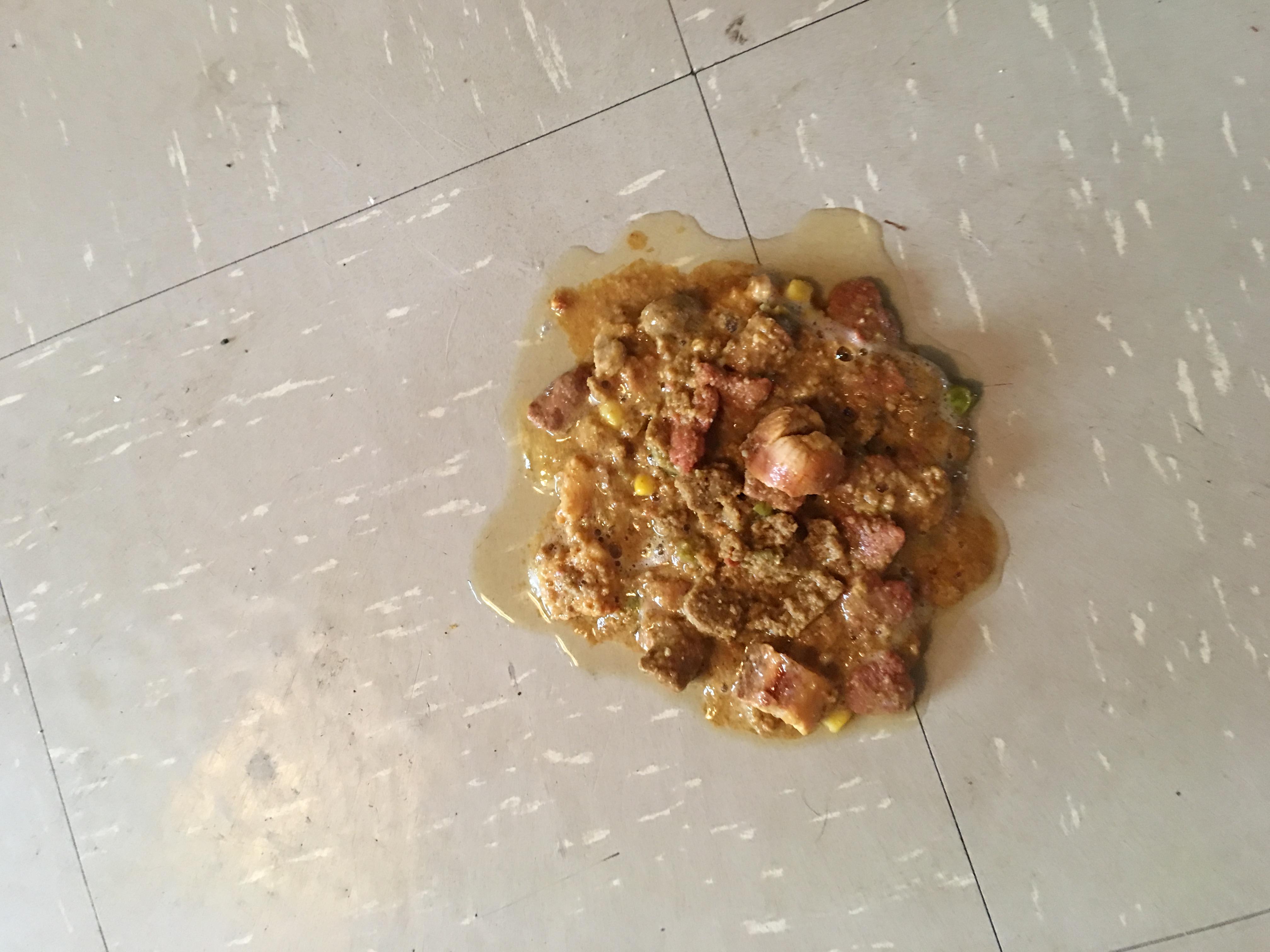 My dog is vomiting thick, lumpy, smelly mucus. Should I worry? | Petco