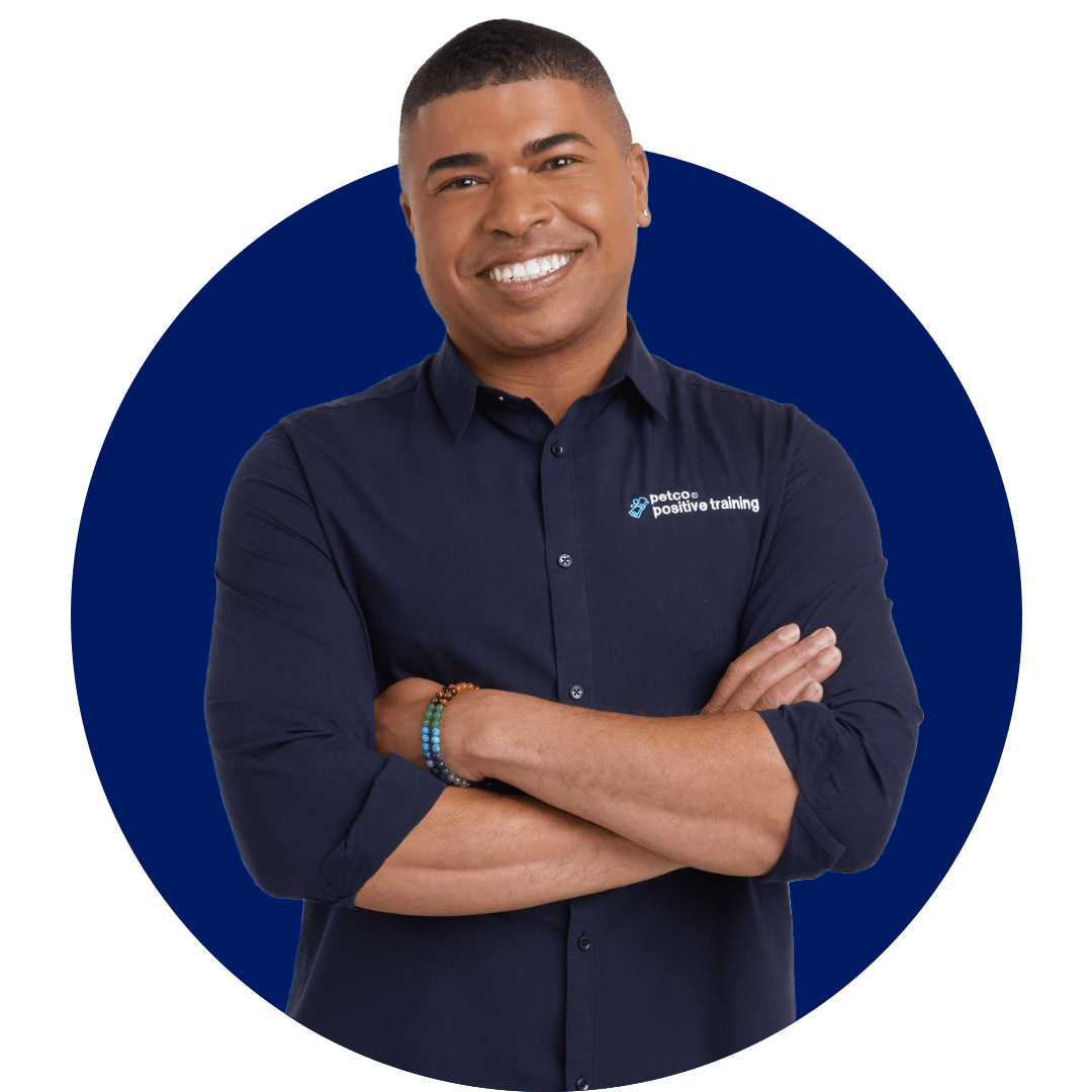 Petco: Pet Care & Wellness Advice | Petco