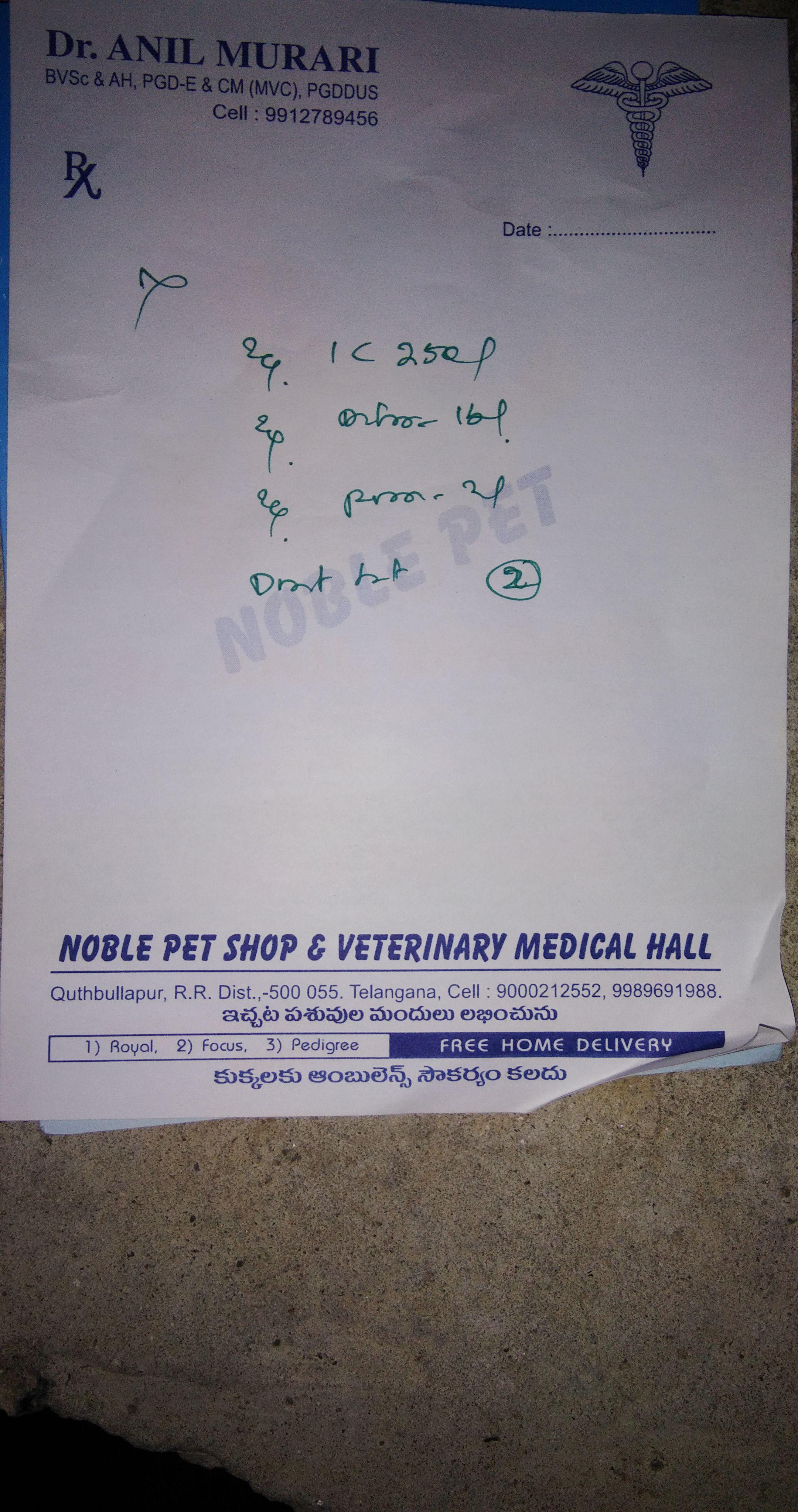 Puppy Vomiting Blood & Diarrhea: Is it Parvo or Distemper? | Petco