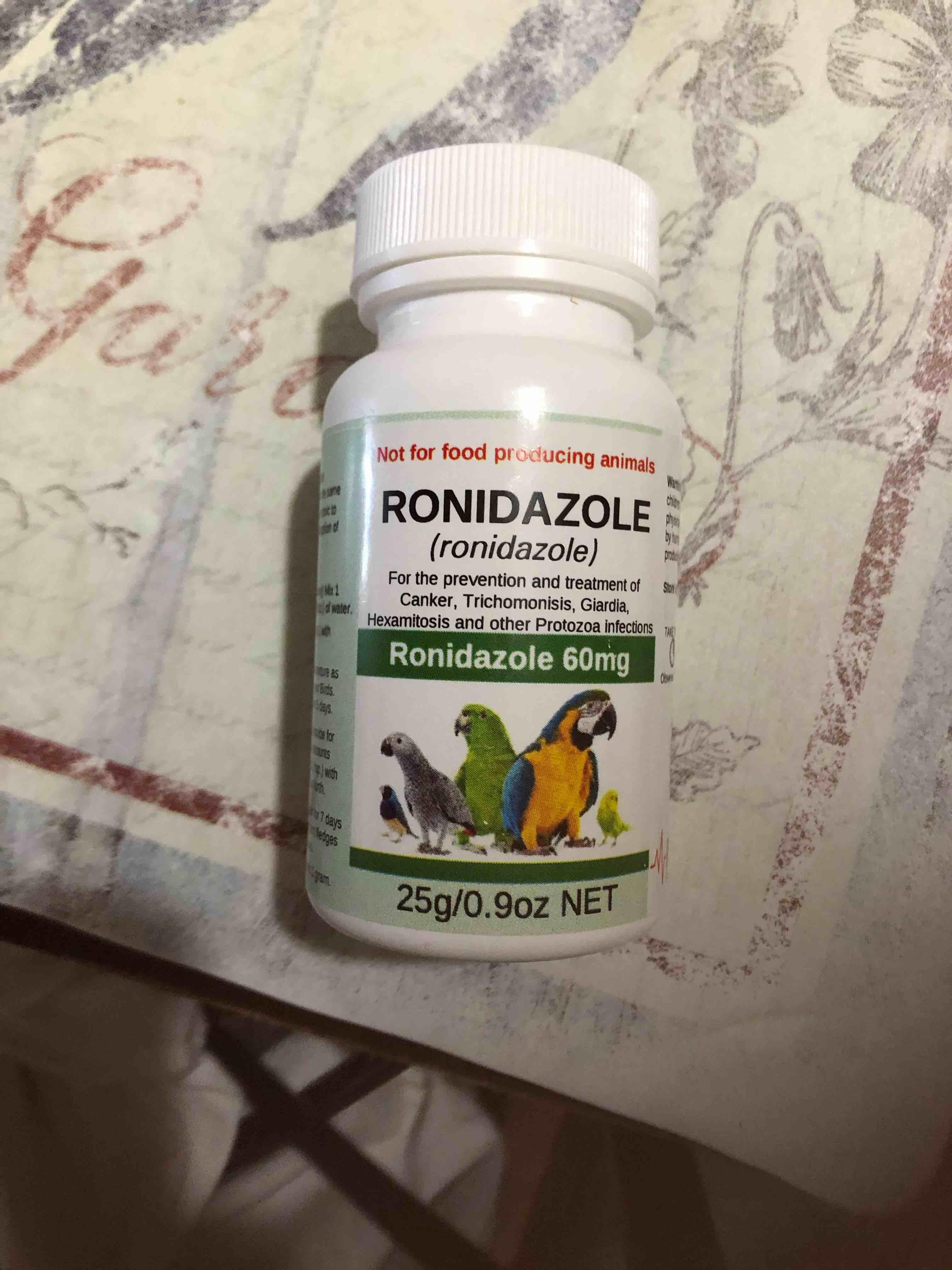 Why is my budgie's poop green and watery? Will Ronidazole help? | Petco