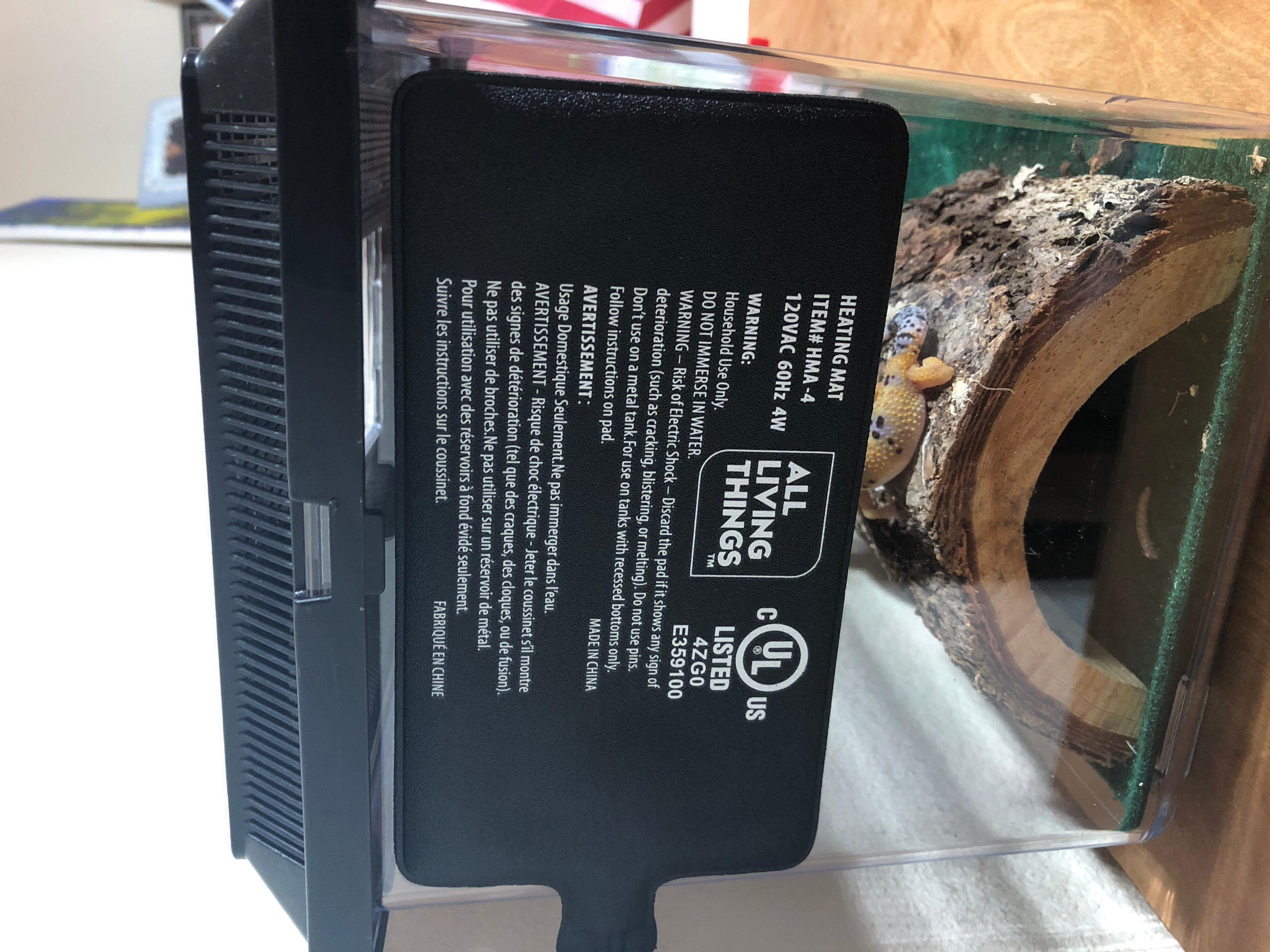 My Gecko's Heat Pad on Side? Is Your Tank Setup Safe? | Petco