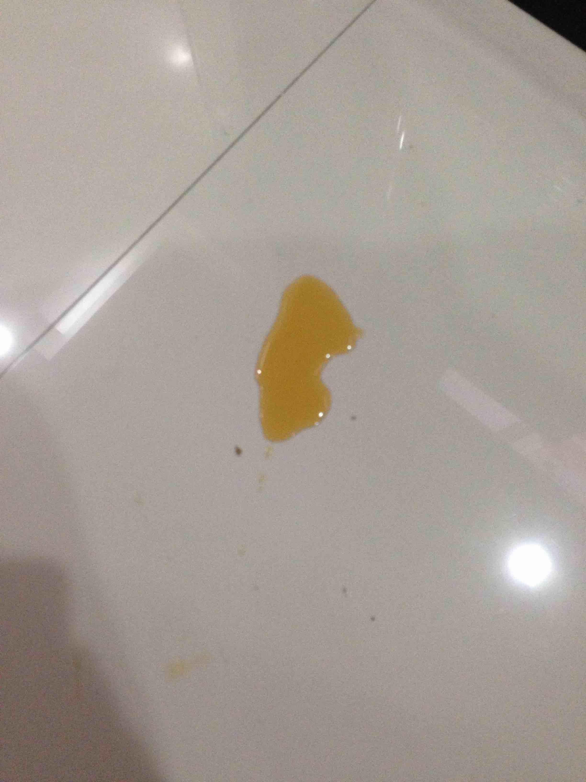 Why is my dog's urine so yellow? Is your dog dehydrated? | Petco