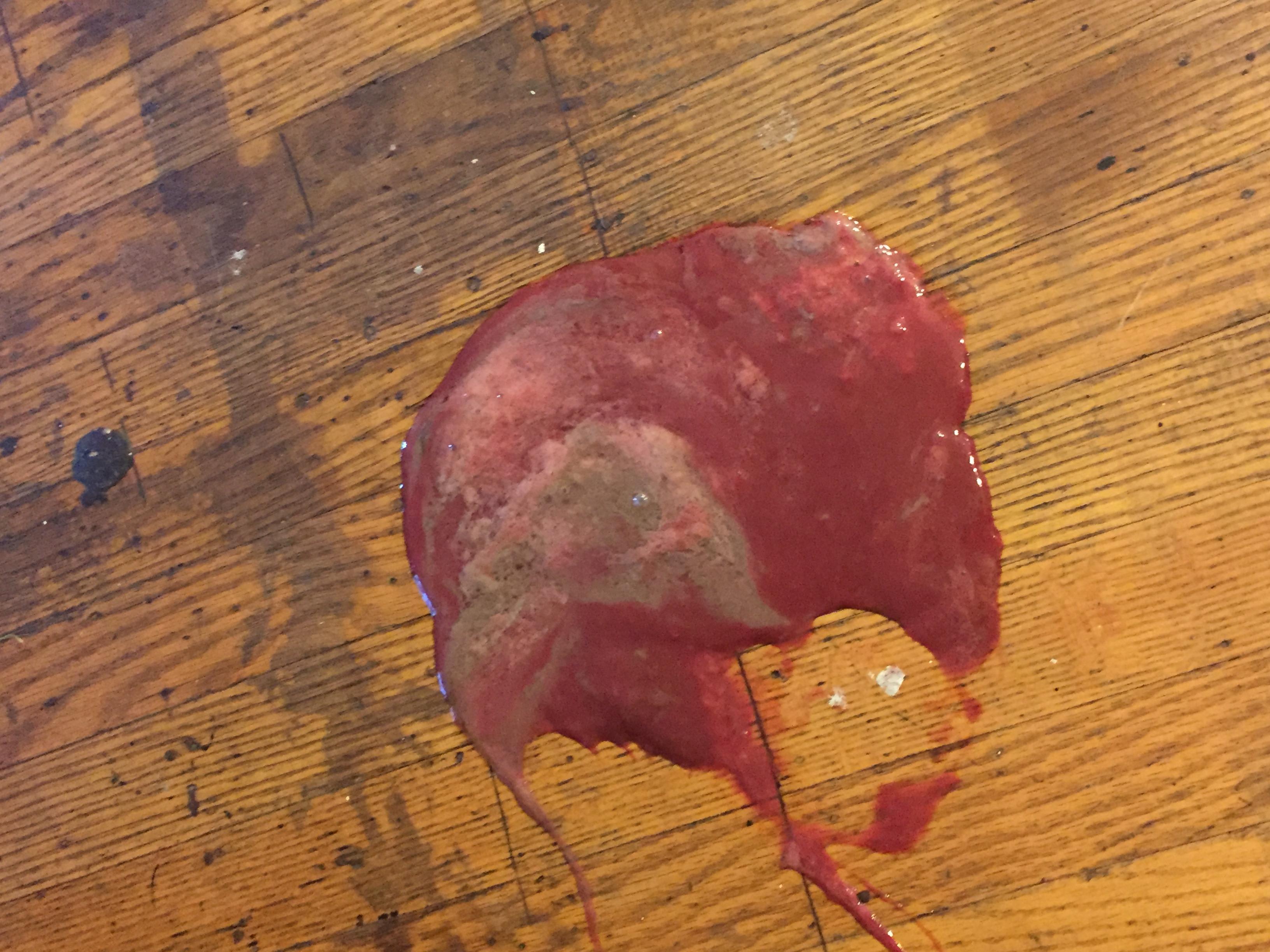 My Dog Has Pyometra, Can't Afford Surgery? Where to Find Help | Petco