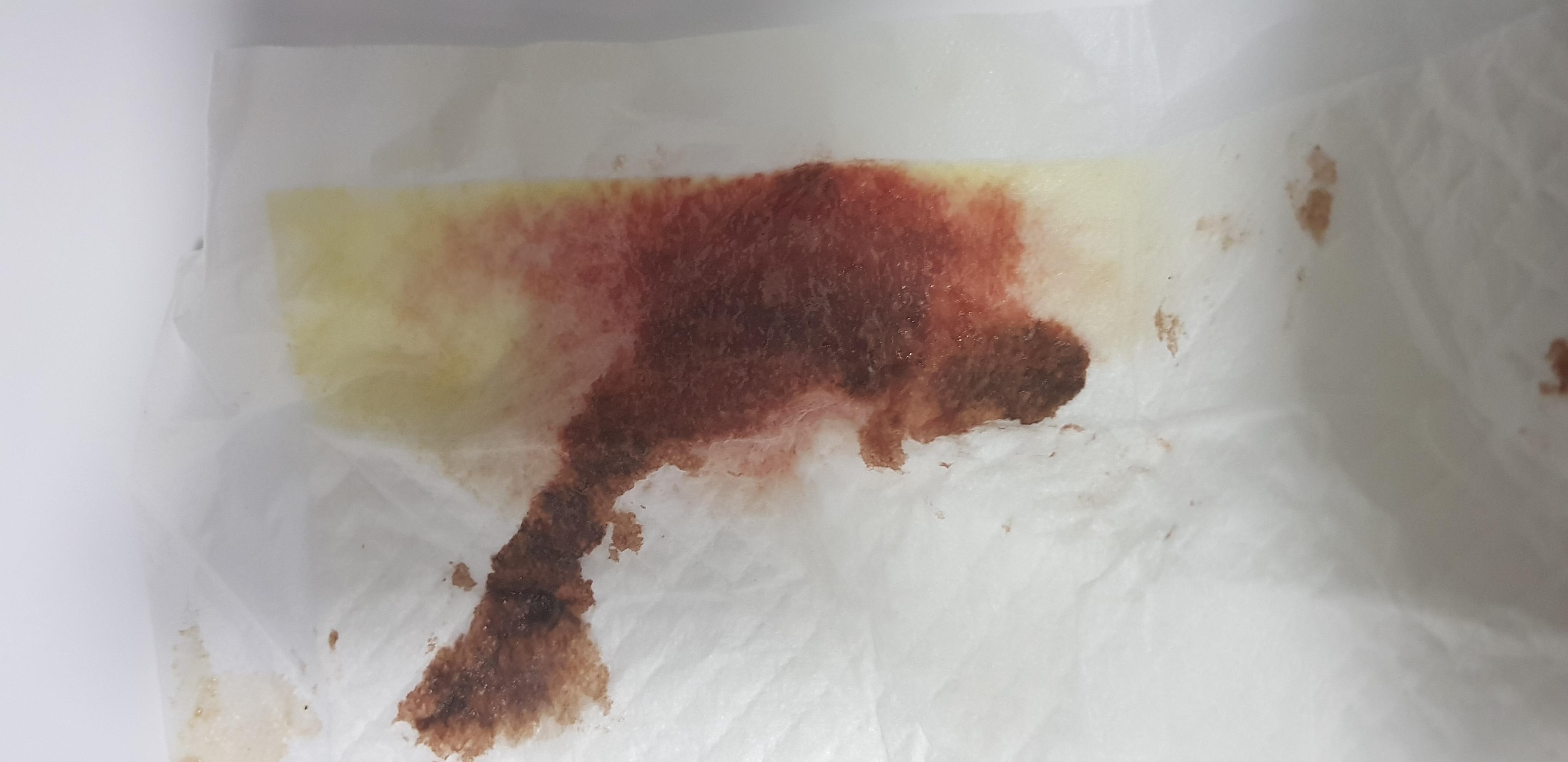 is this blood in stool? | Boop by Petco