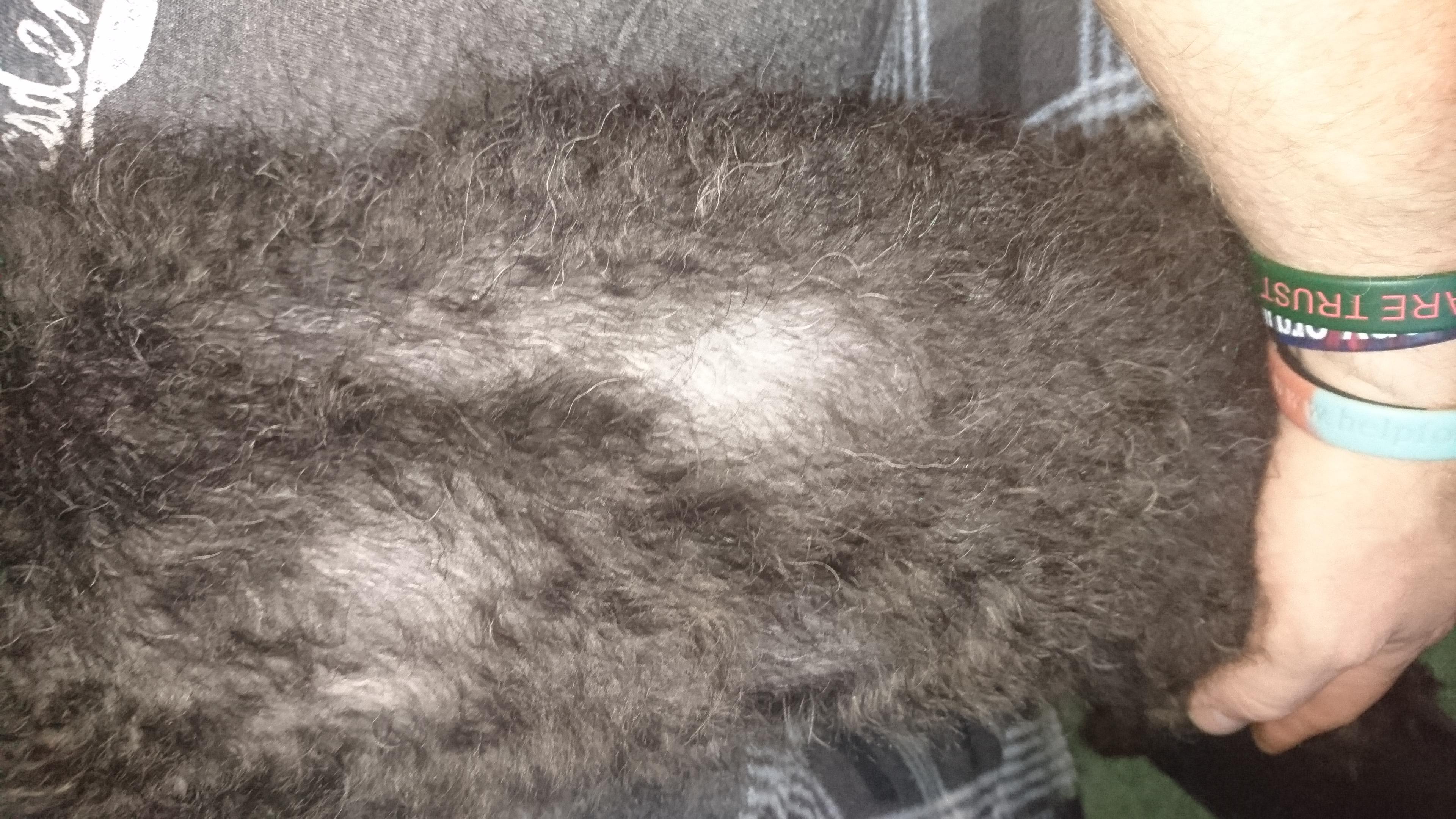 I have recently purchased 4 1/2 month old cockapoo puppy he hadn't had ...