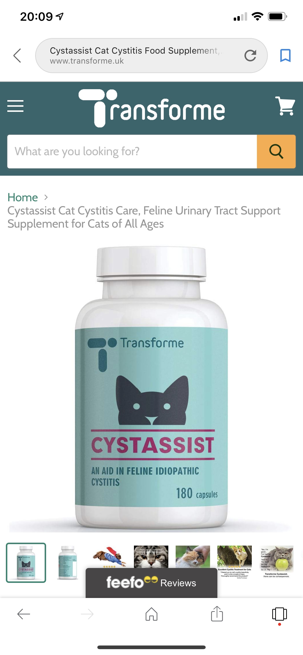Is Cystassist Safe for My Cat's Bladder with Cystitis? | Petco
