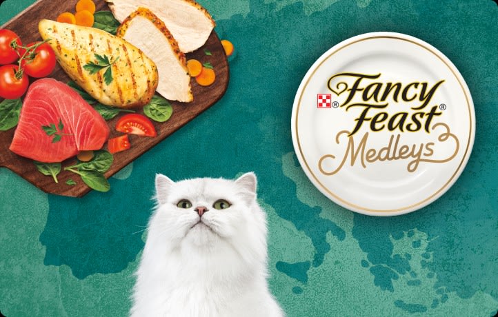 Fancy Feast | Petco