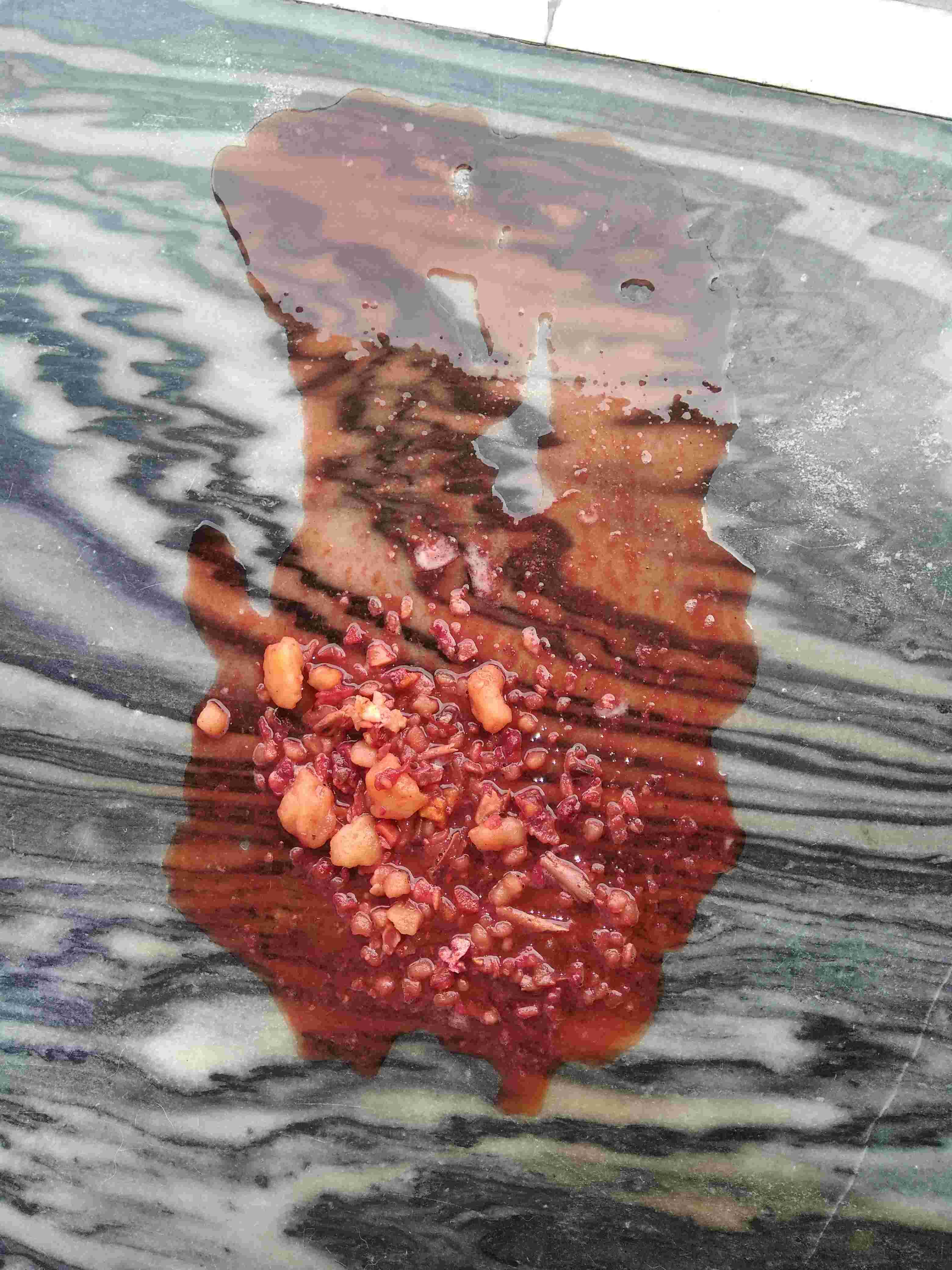 Dog Vomiting Red with Bones? Is It Safe to Wait for the Vet? | Petco