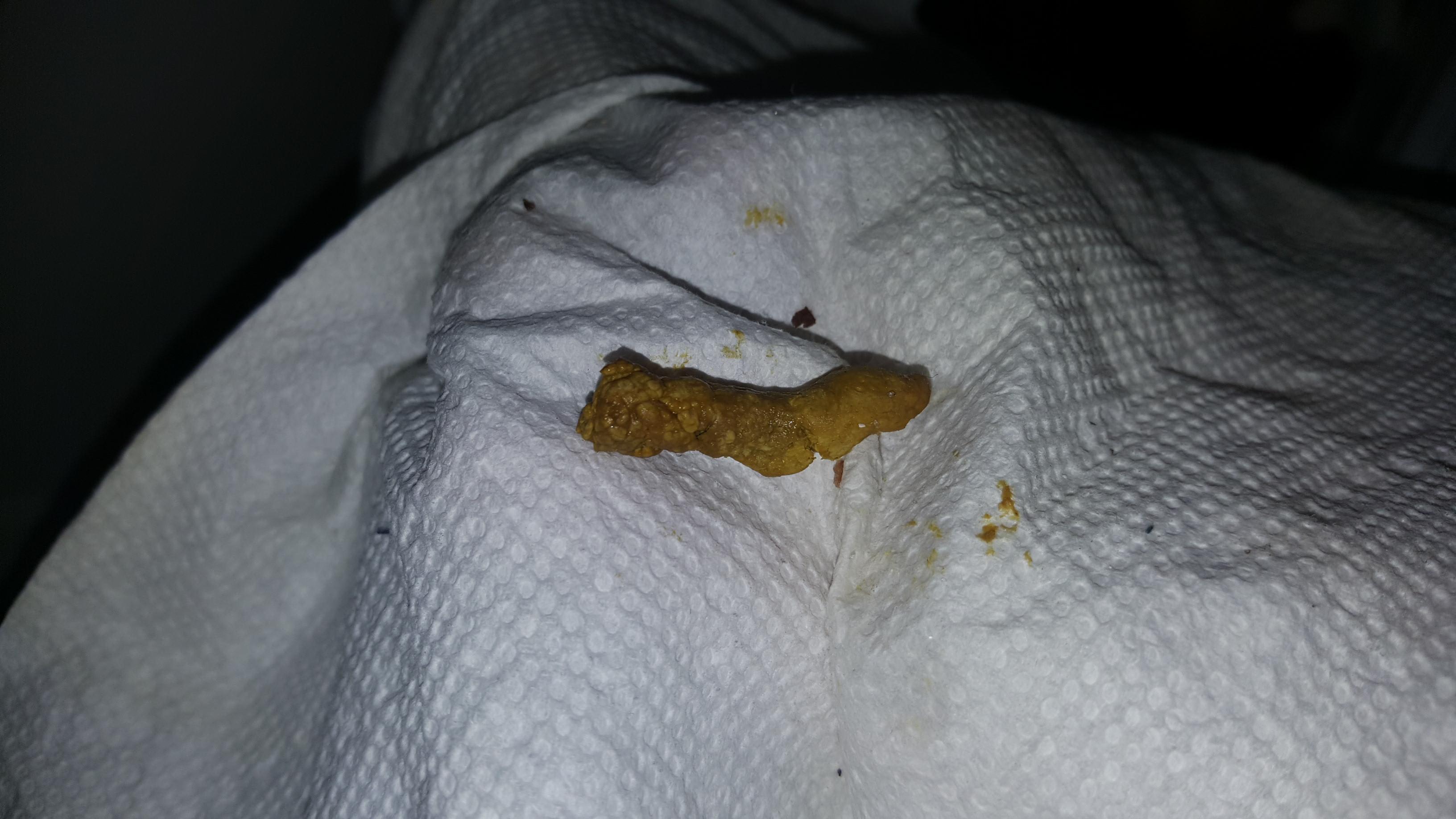 Why is my bottle-fed puppy's poop yellow with bumps? Normal? | Petco