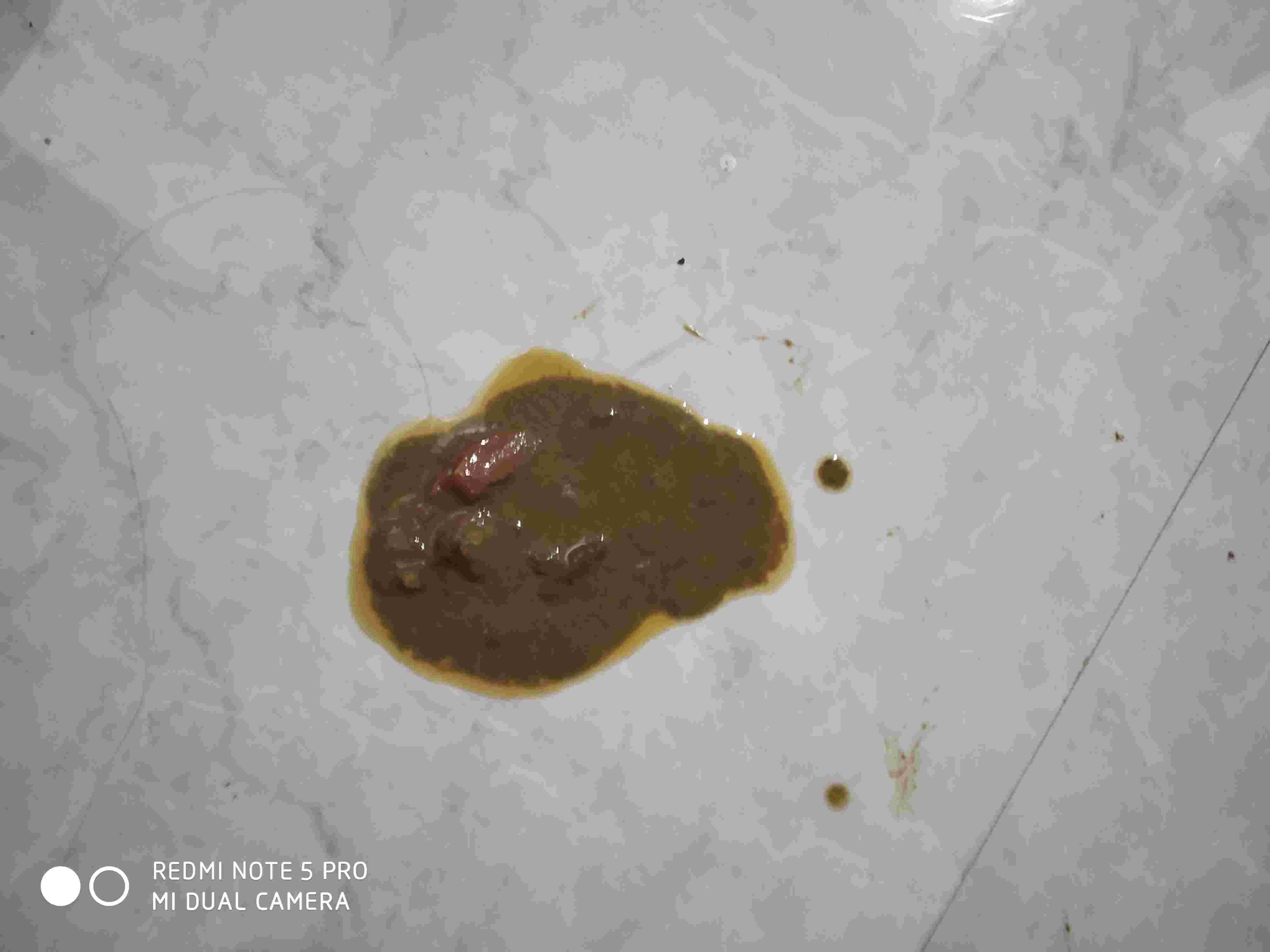 Puppy Loose Stool with Red in Poop: Is It Parvo If Active? | Petco