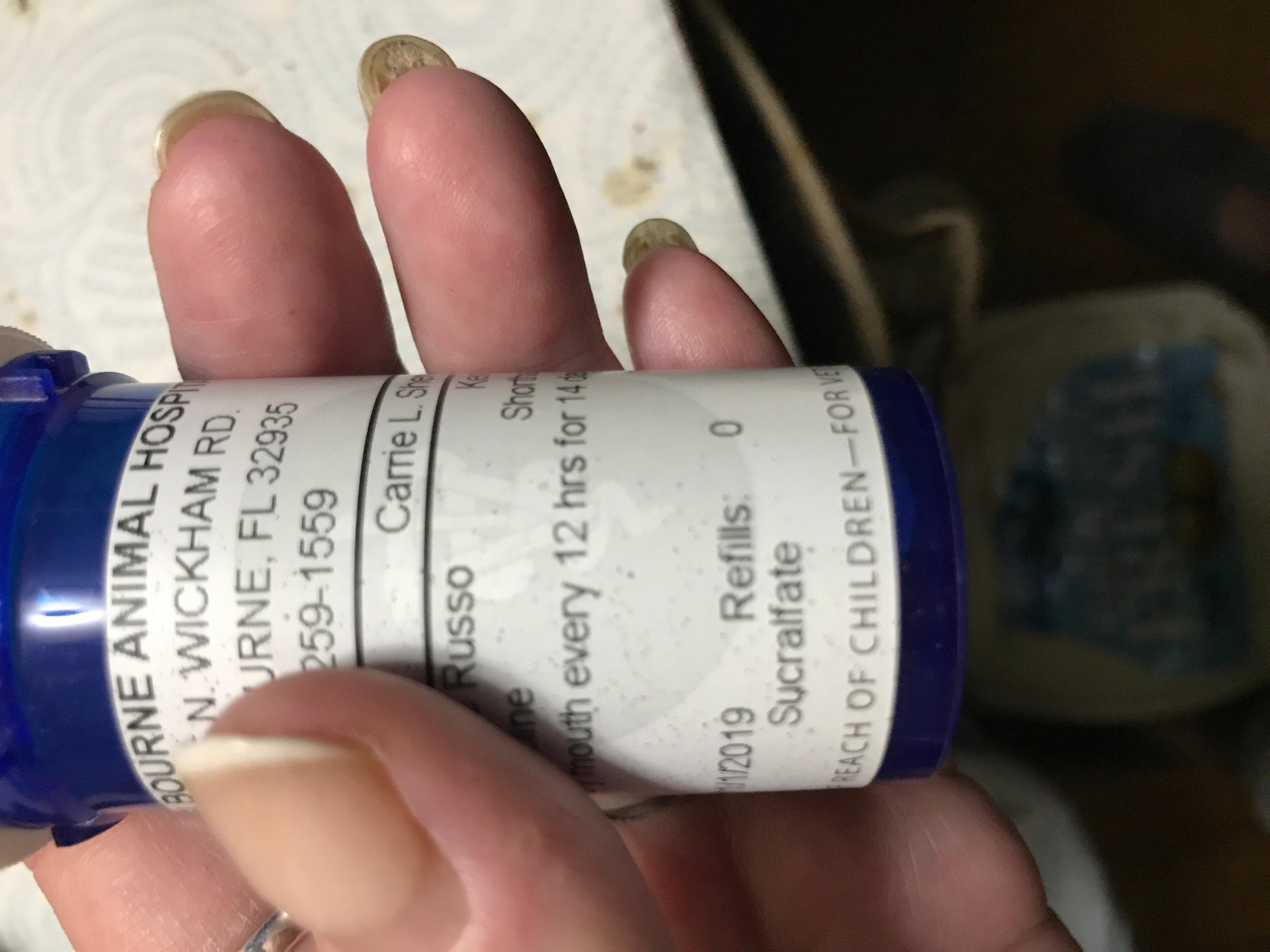 My Dog Vomiting from Meds? Can Sucralfate Help Upset Stomach? | Petco