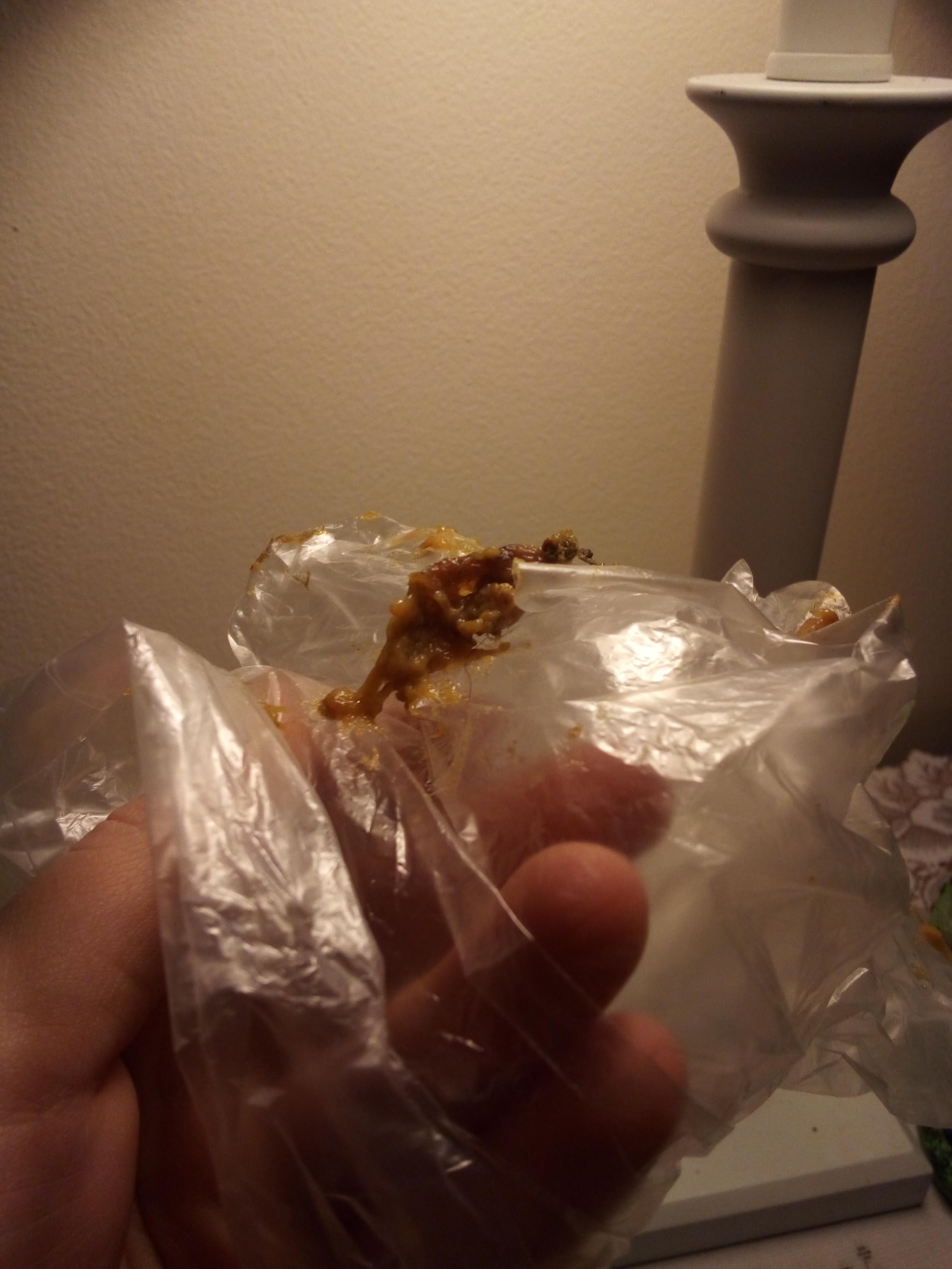 Young Ferret Stool: Bloody, Yellow, Mucousy? Is it Serious? | Petco