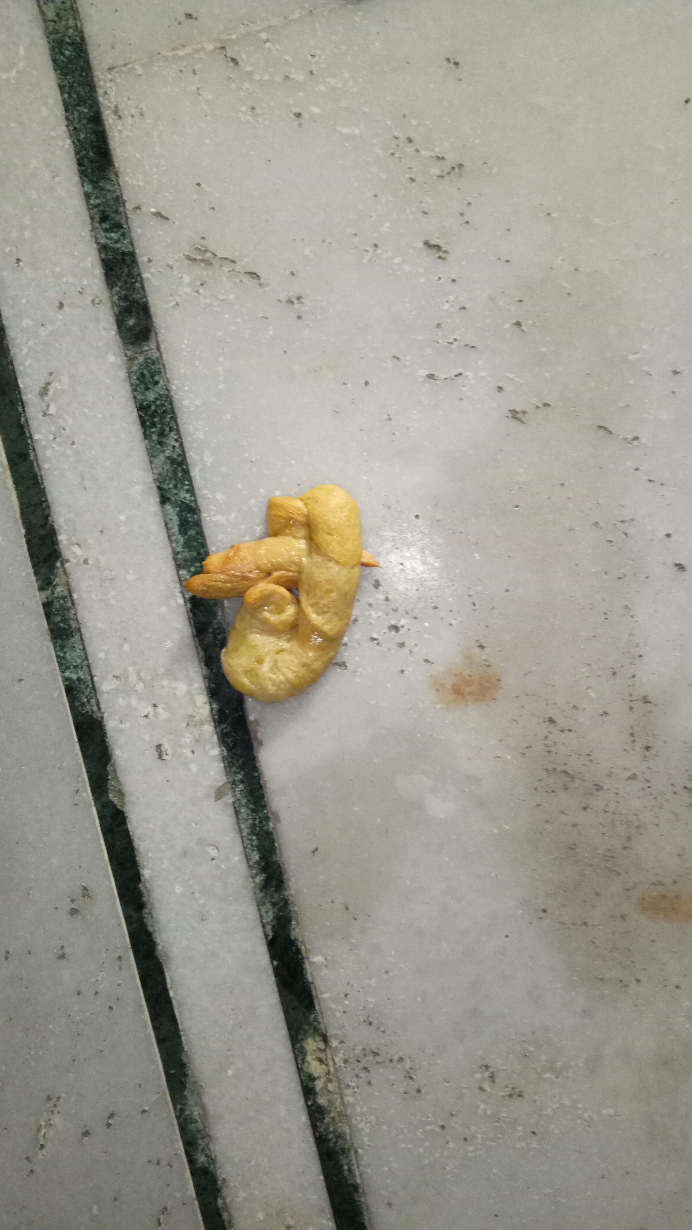 Why is my American Bully puppy pooping yellow, rubbery pieces? | Petco
