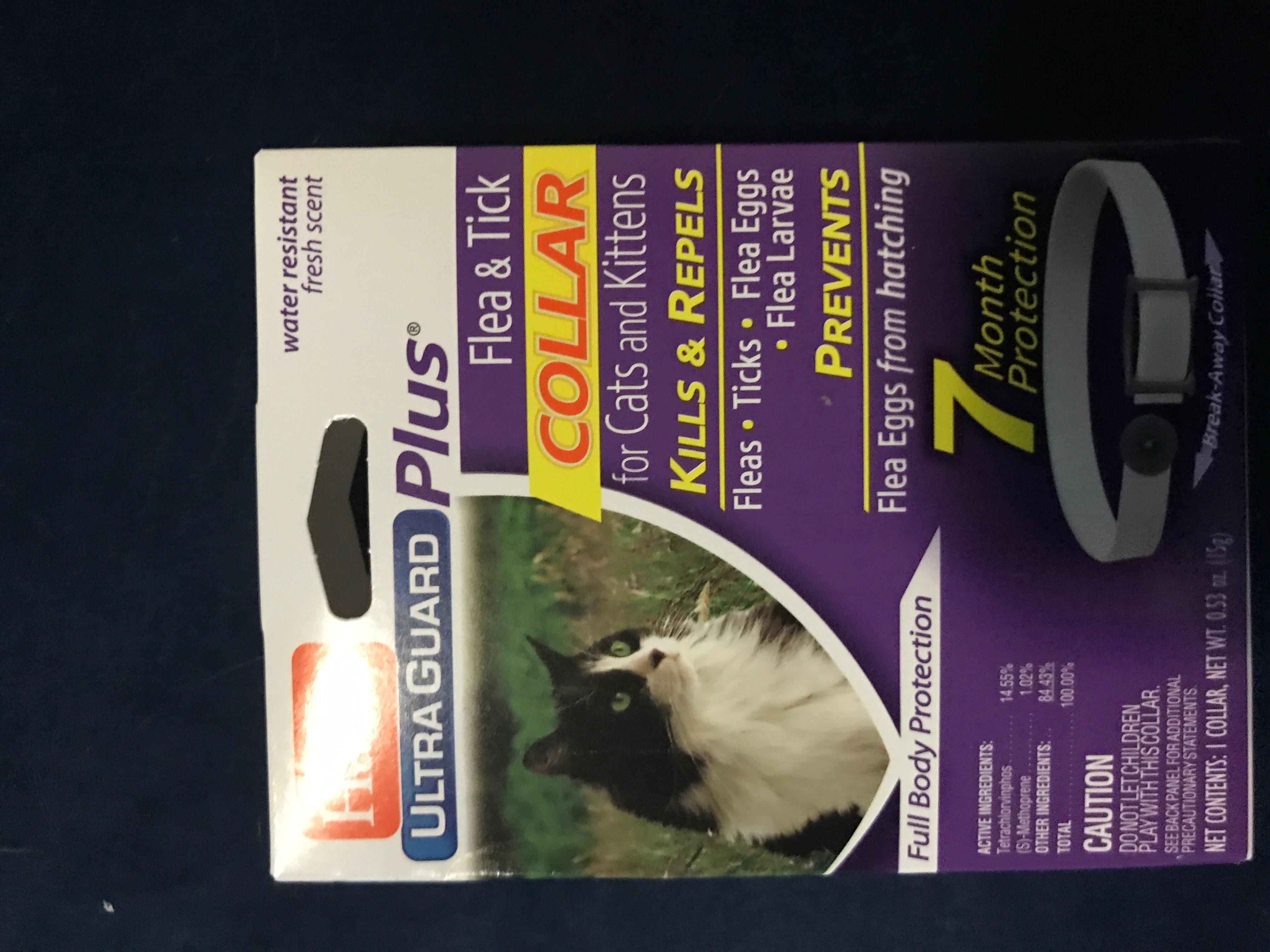 My Cat Has Fleas, Sentry Failed. Fast, Safe Treatment? | Petco