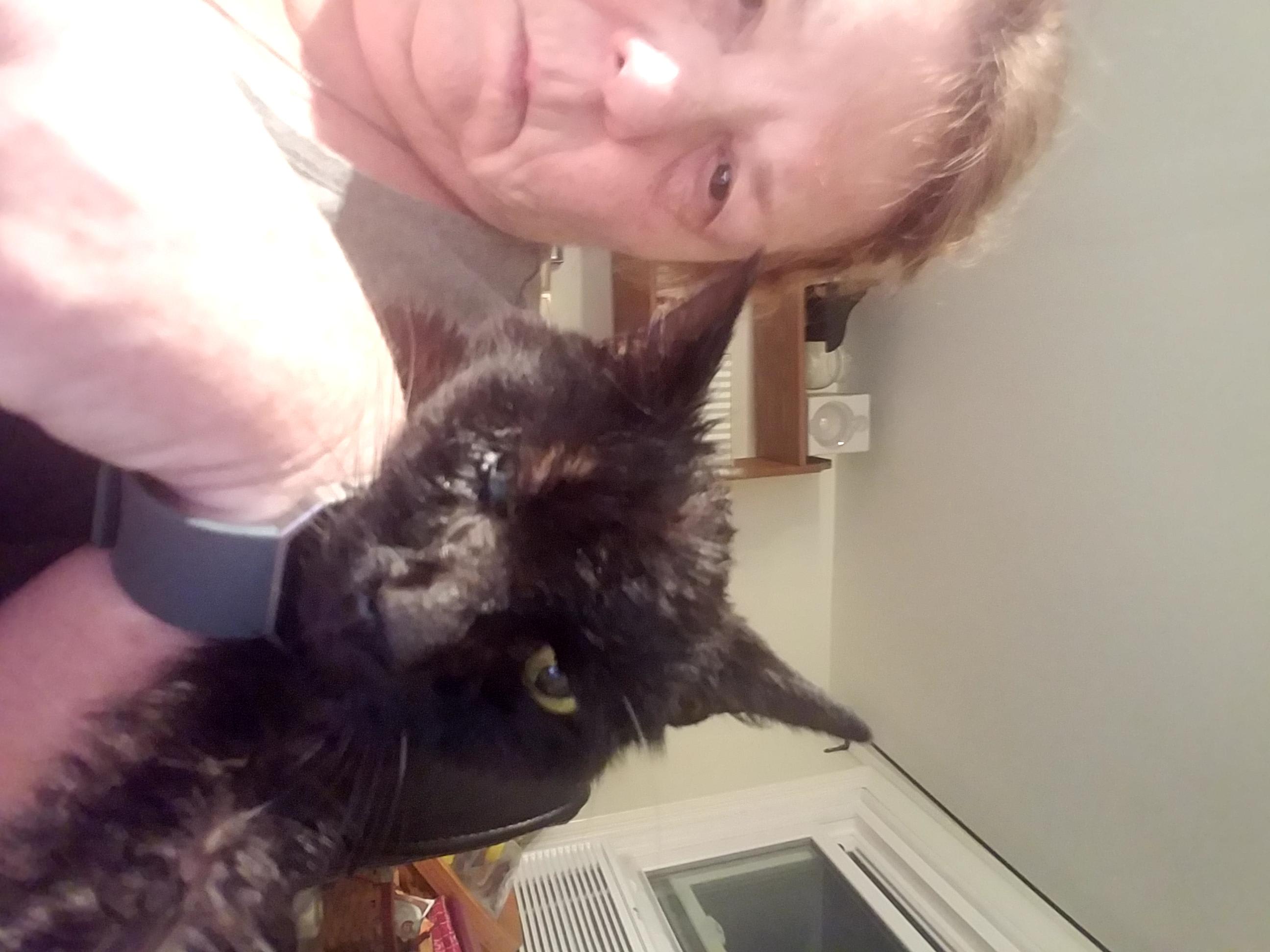 My Cat's Eye Cyst Draining: Is It an Emergency? Find Out Now | Petco