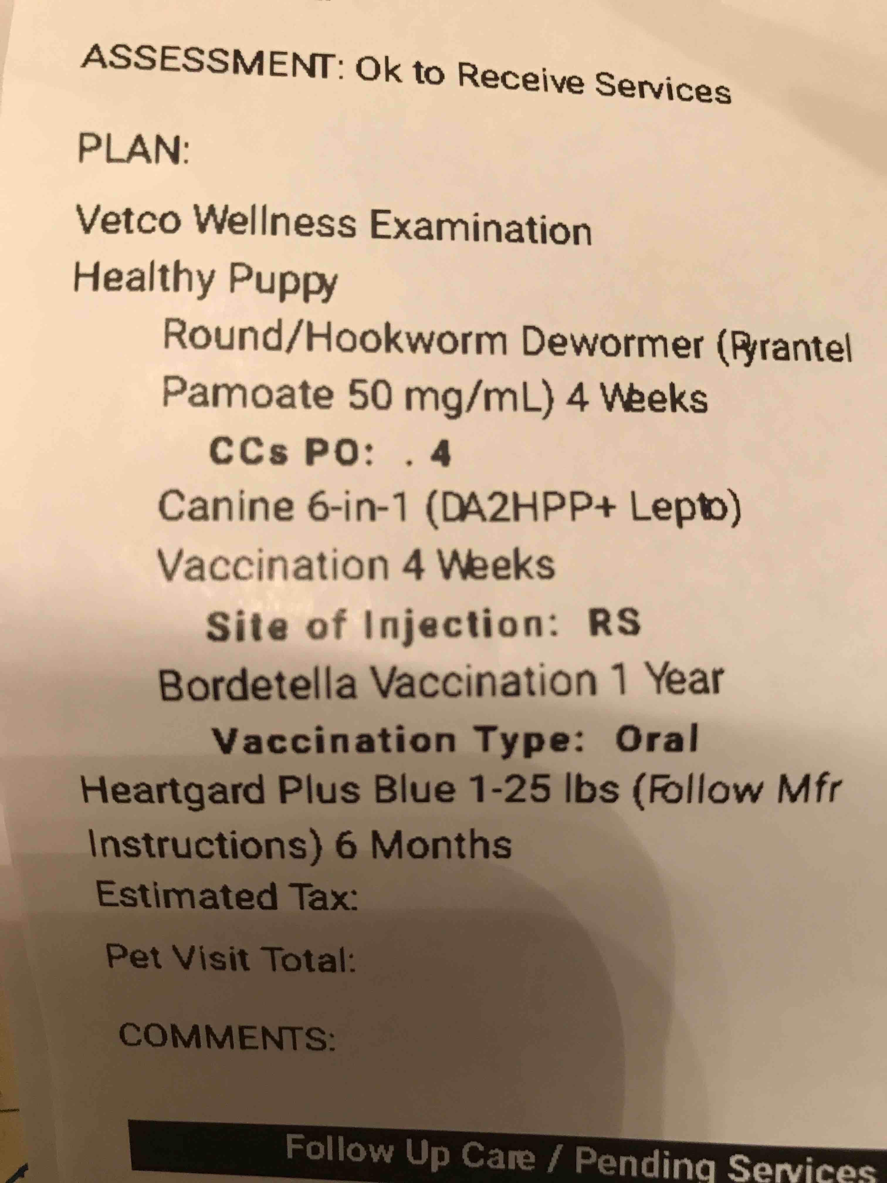 My Puppy Got Vaccines: Are These New Shots Necessary Boosters? | Petco