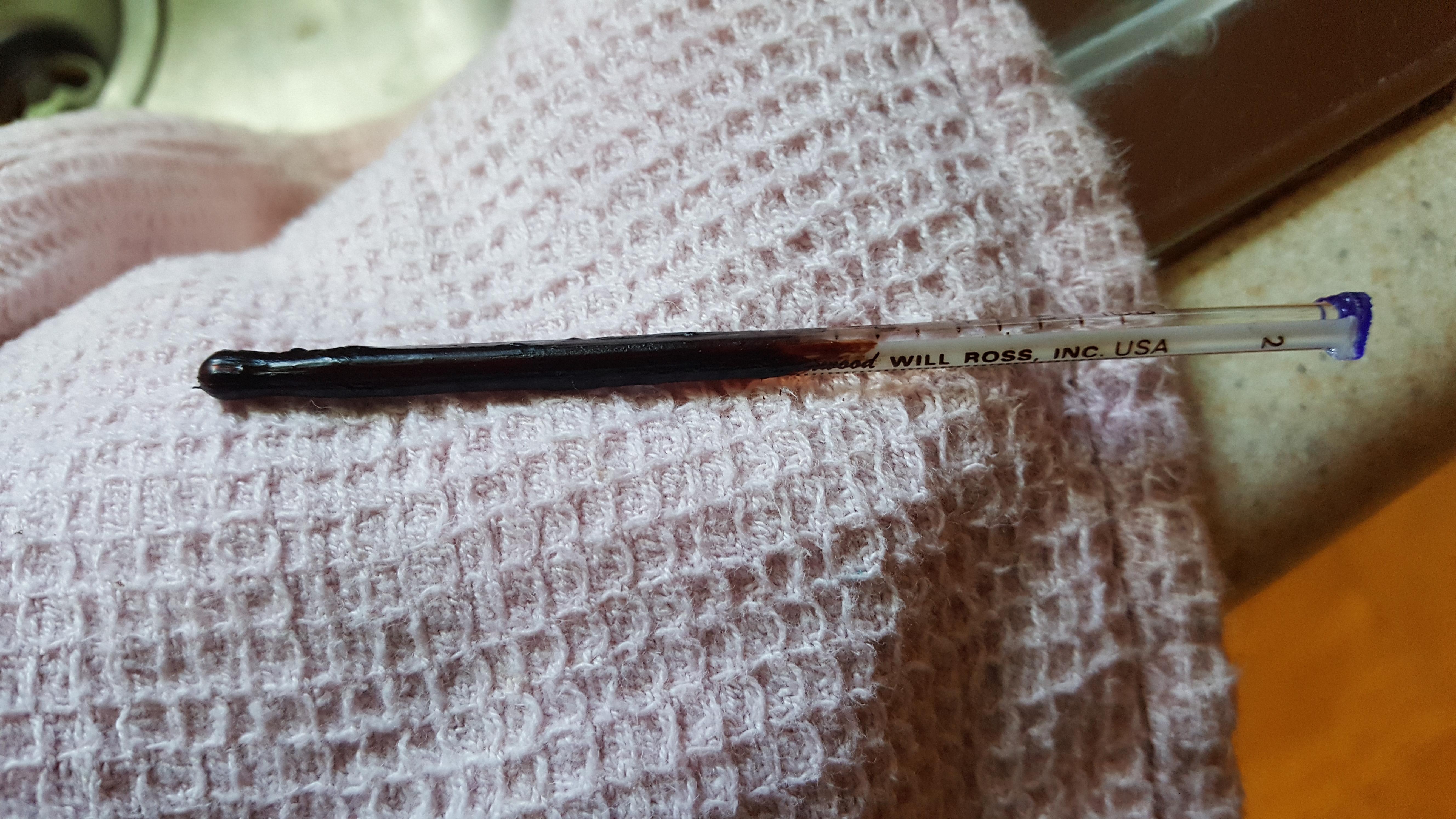 Is Dark, Thick Stool Normal for Your Dog After Parvo Recovery? | Petco