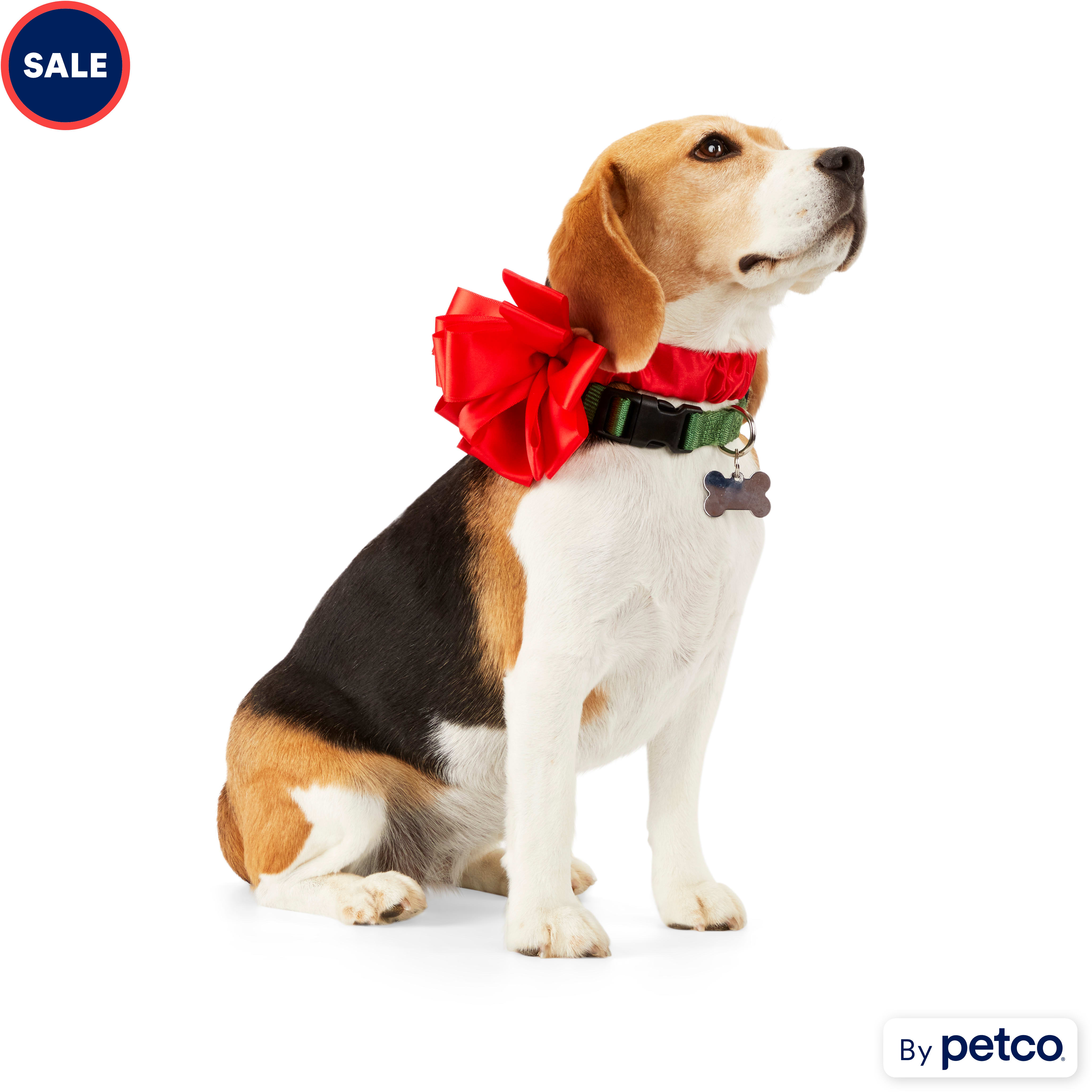 Merry Makings First Christmas Bow Neck Band for Dogs Red Petco